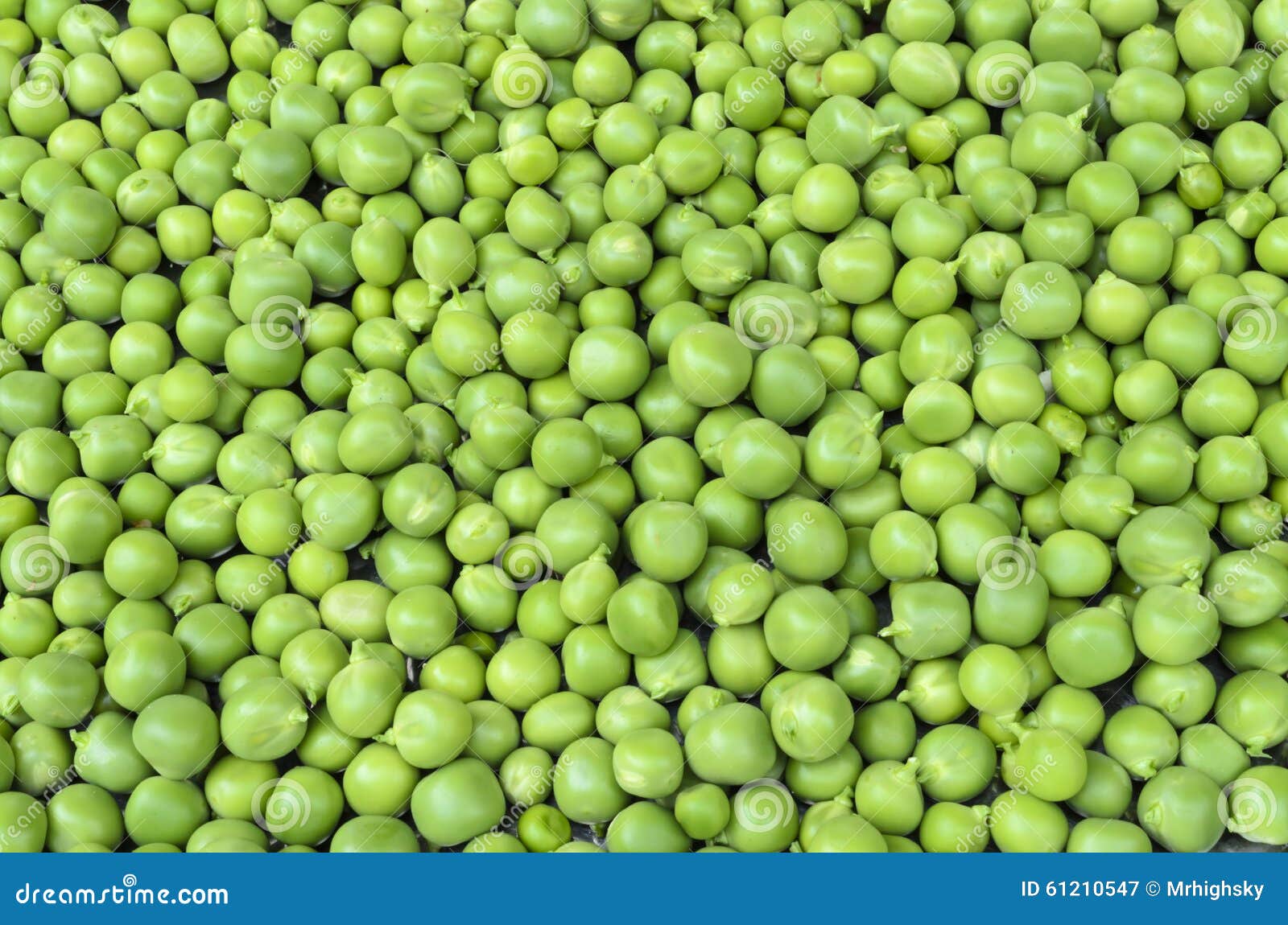 Fresh green peas stock image. Image of fresh, closeup - 61210547