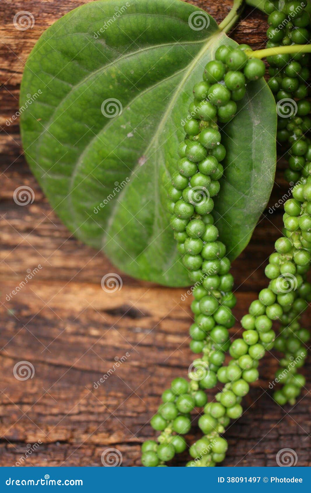 Fresh green peper stock image. Image of food, organic - 38091497