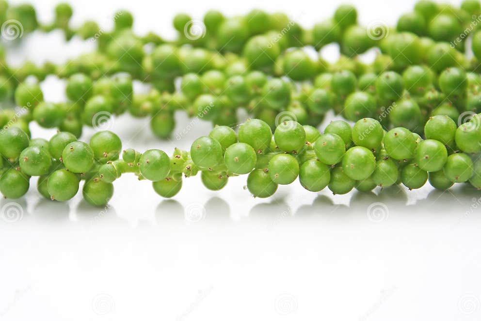 Fresh Green Piper Nigrum ,group Stock Image - Image of flavoring ...