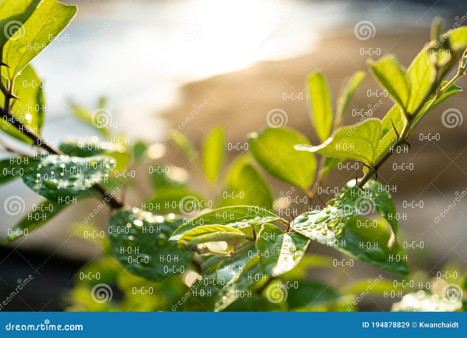 Fresh Green Plant with Biochemistry Formula Structure Stock Image ...