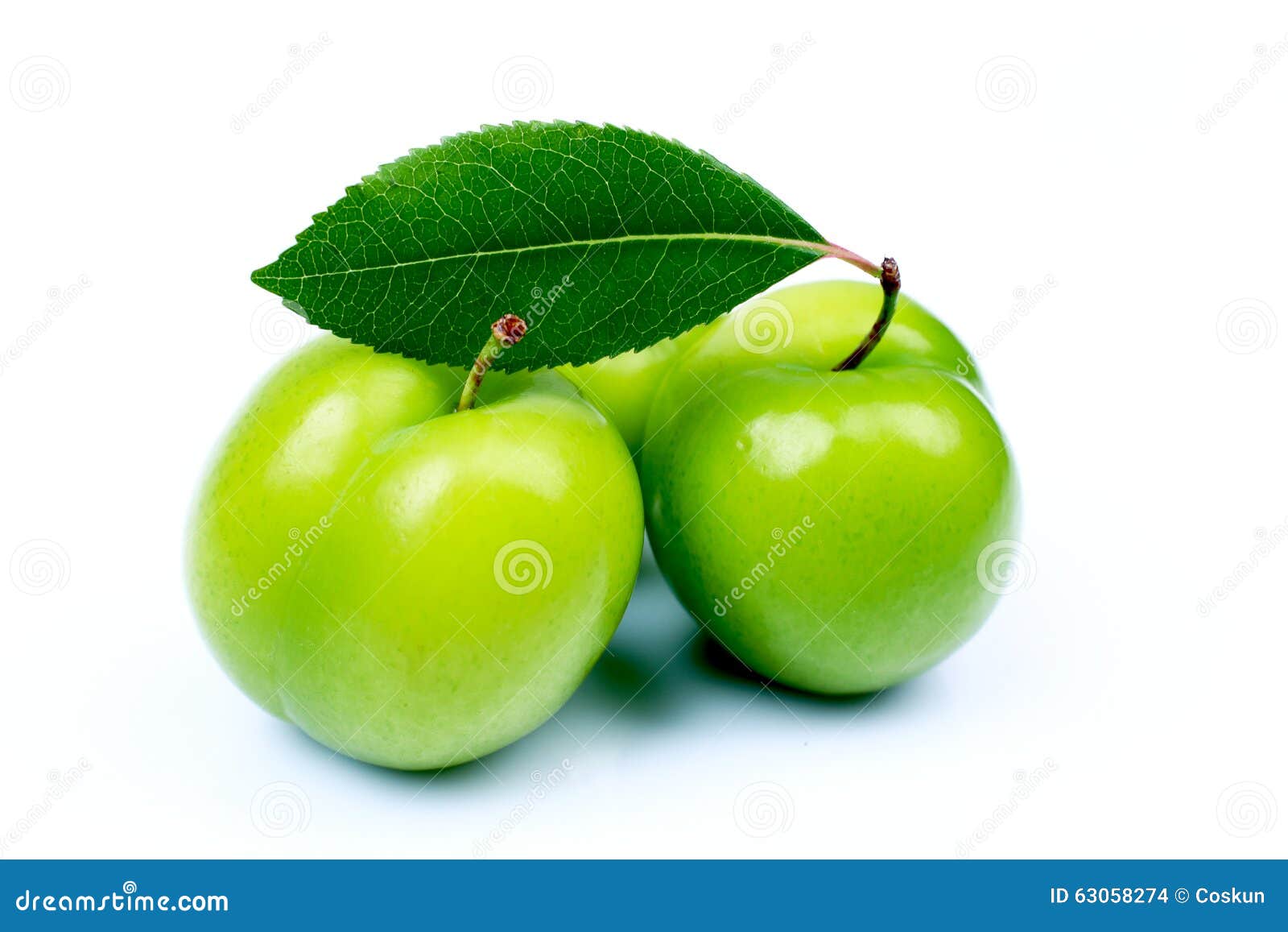 Fresh green plums stock photo. Image of gourd, white - 63058274