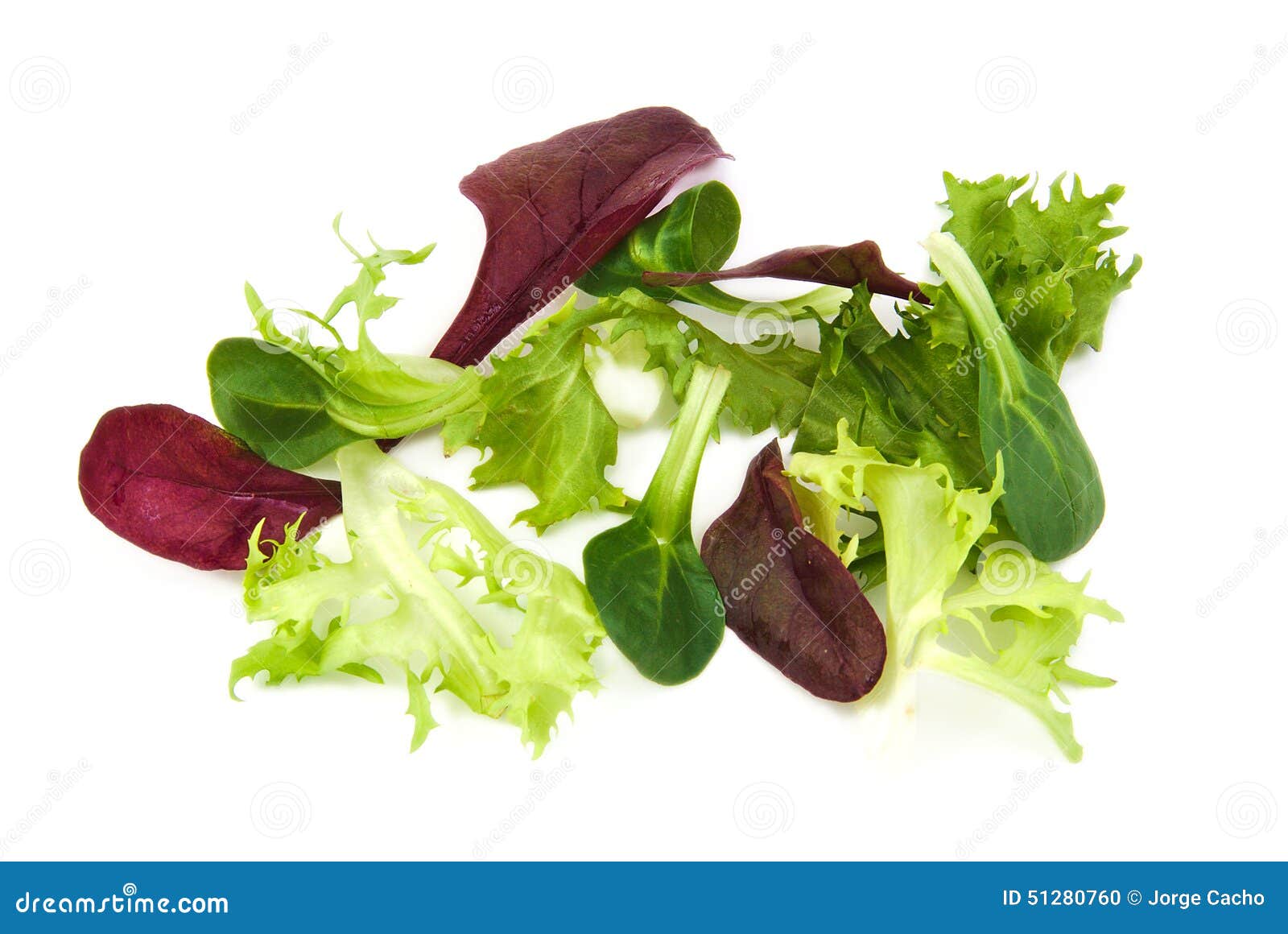 Fresh Green and Purple Lettuce, Corn Salad Leaves Stock Photo - Image ...