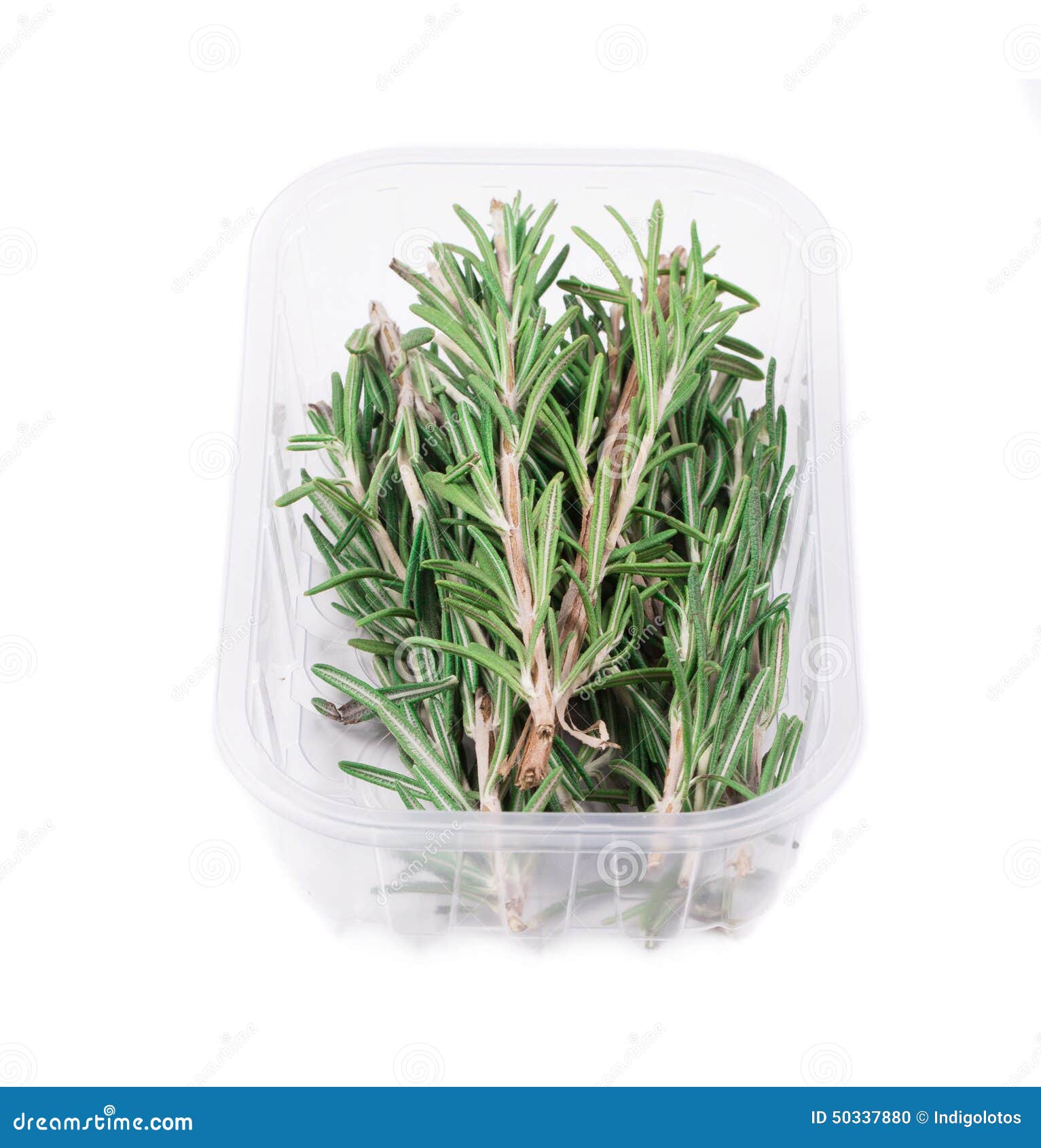 Fresh green rosemary stock photo. Image of condiment - 50337880