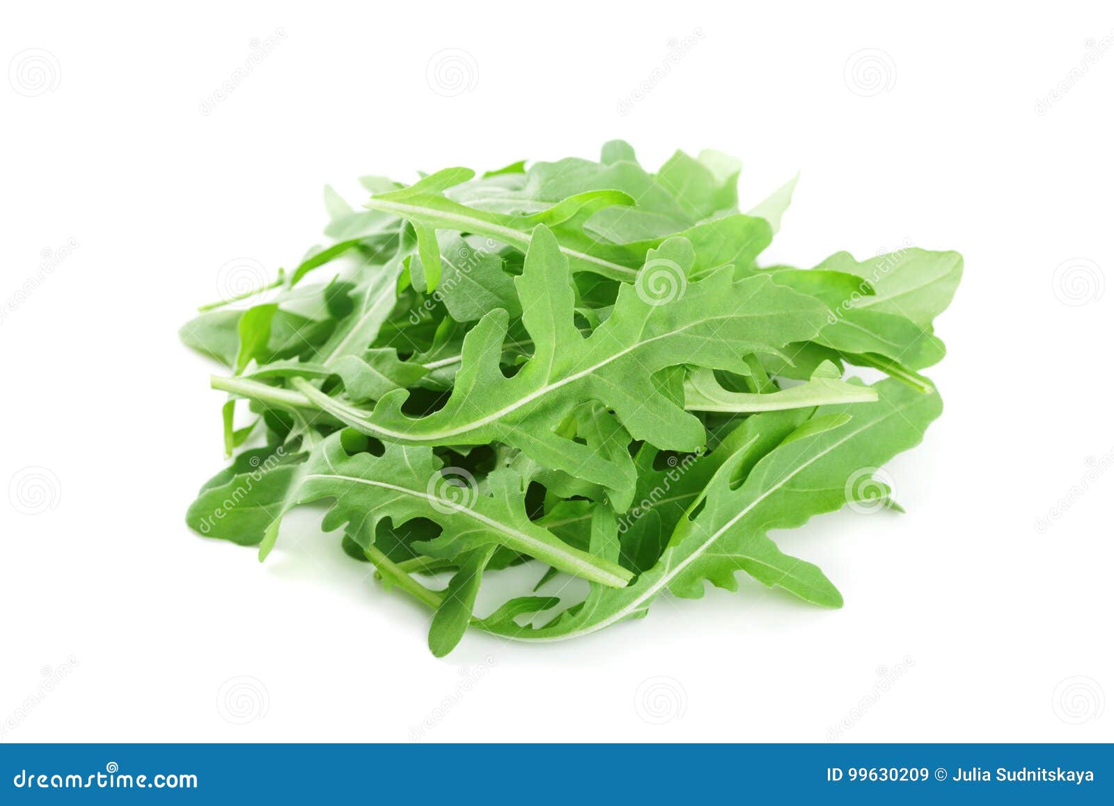 Fresh Green Rucola, Rocket Salad or Arugula Isolated on White ...