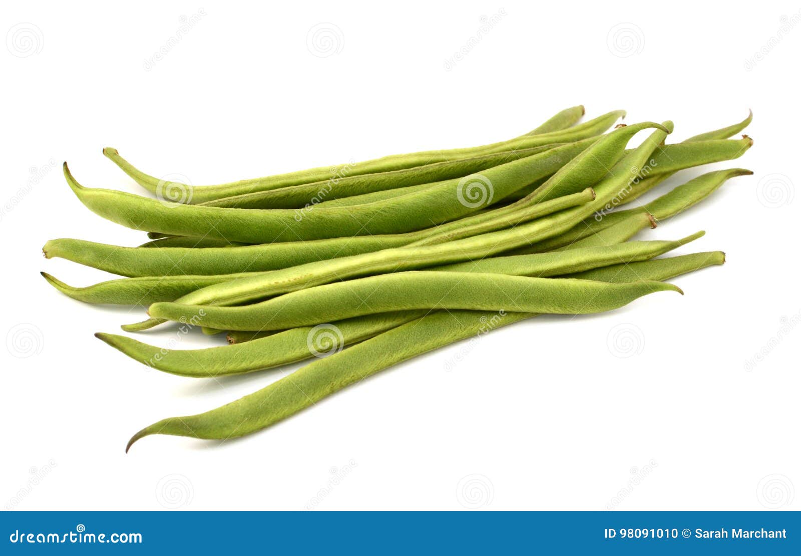Fresh green runner beans stock photo. Image of multiflora - 98091010