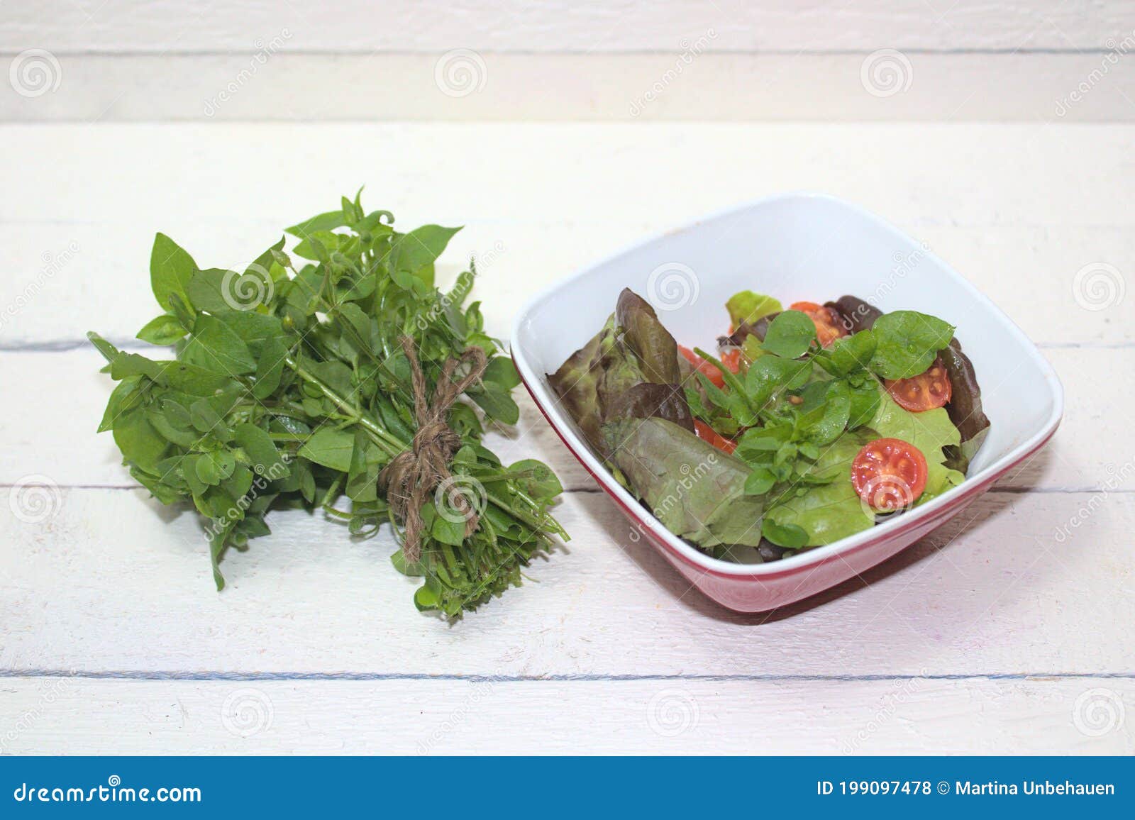 A Fresh Green Salad with Chickweed Stock Photo - Image of nature, wild ...