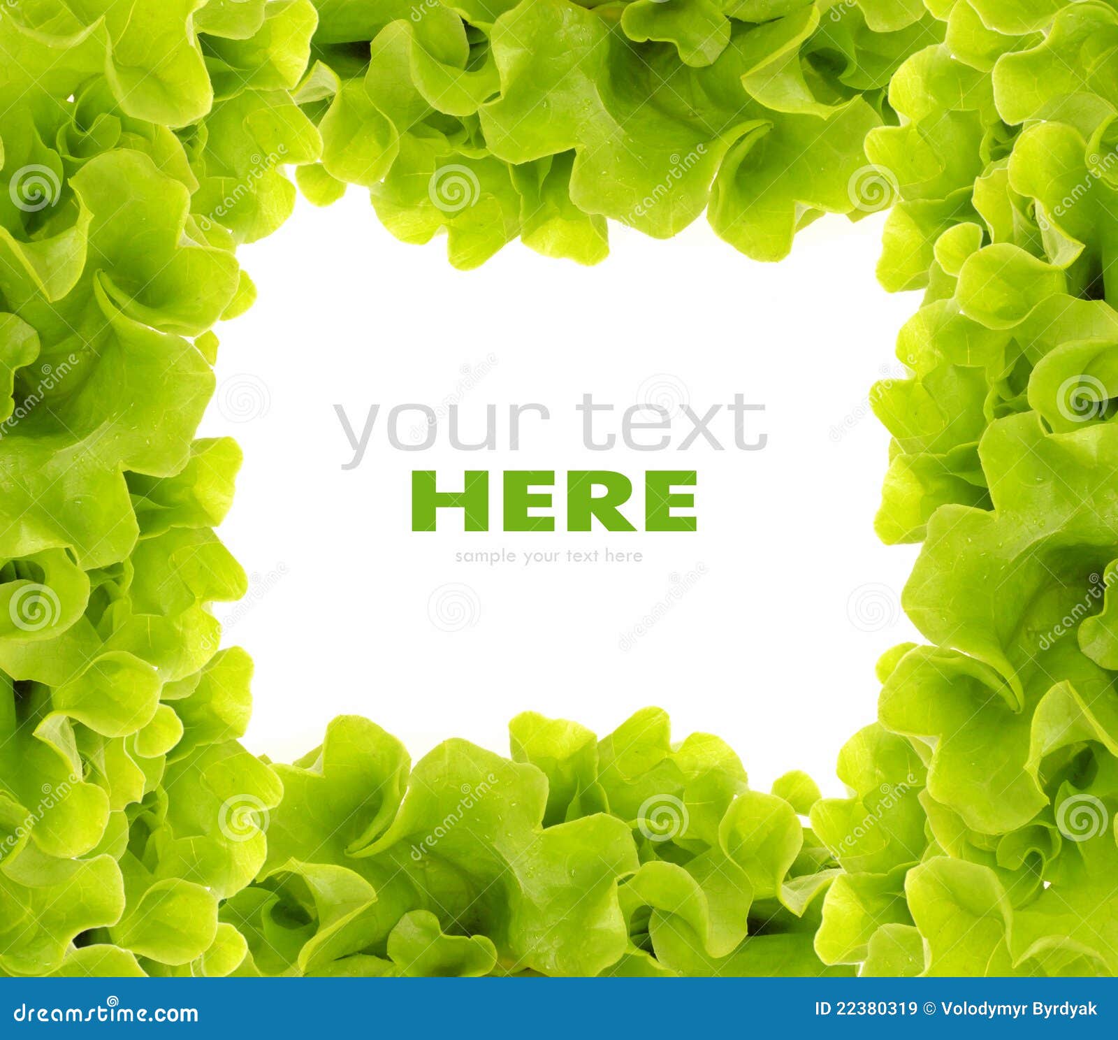 Fresh Green Salad frame stock image. Image of food, leaf - 22380319