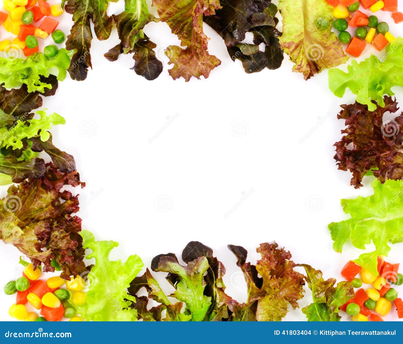 Fresh Green Salad Frame Stock Photo - Image: 41803404