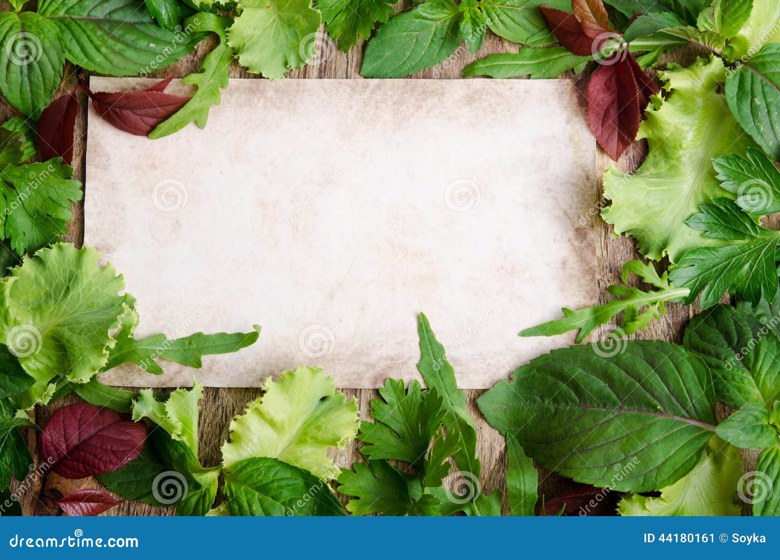 Fresh Green Salad on the Frame Stock Image - Image of parsley, arugula ...