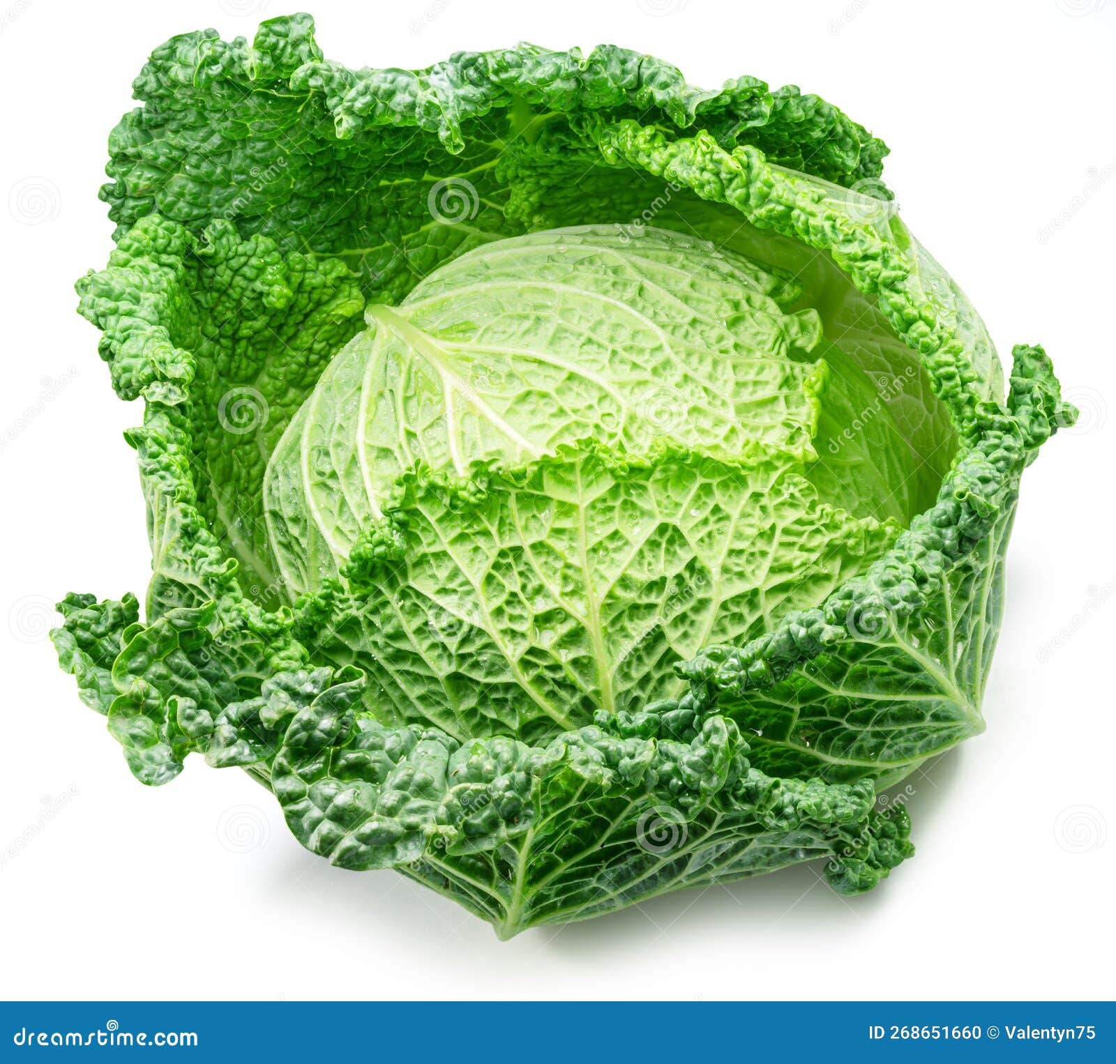 Fresh Green Savoy Cabbage Isolated on White Background Stock Photo ...