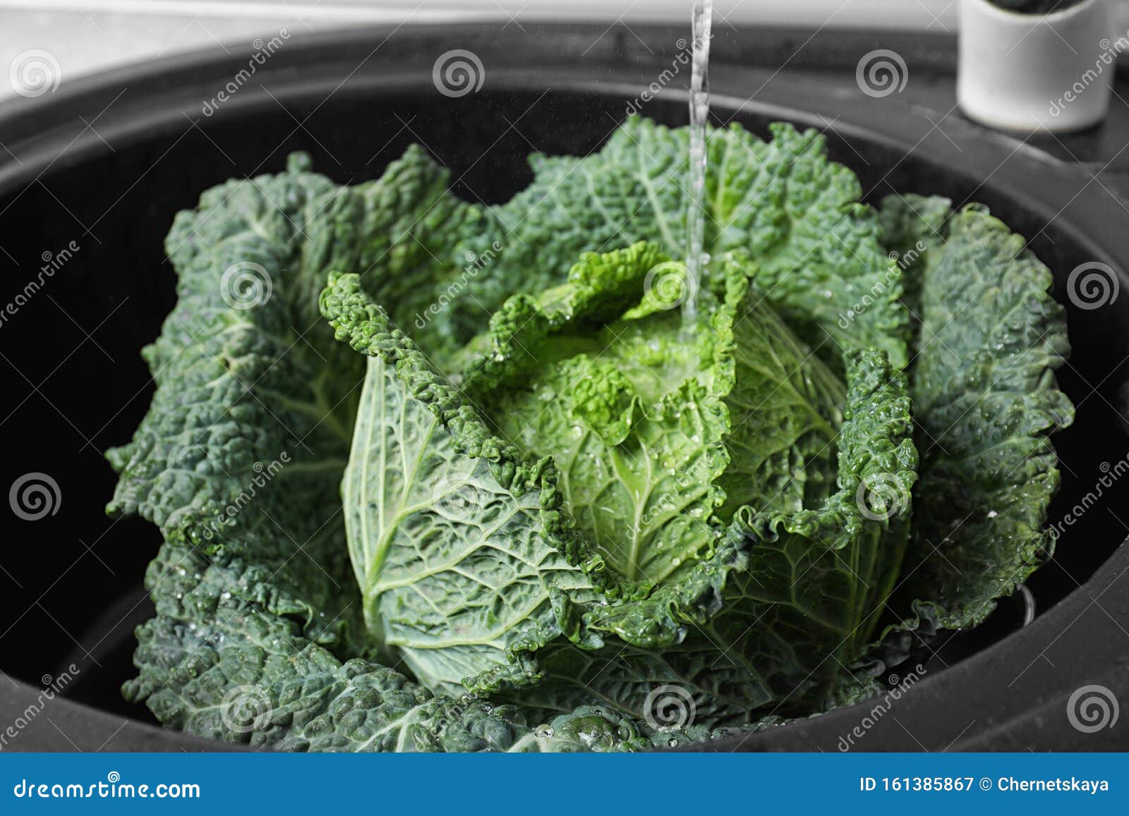 Fresh Green Savoy Cabbage Under Tap Water Stock Image - Image of fresh ...