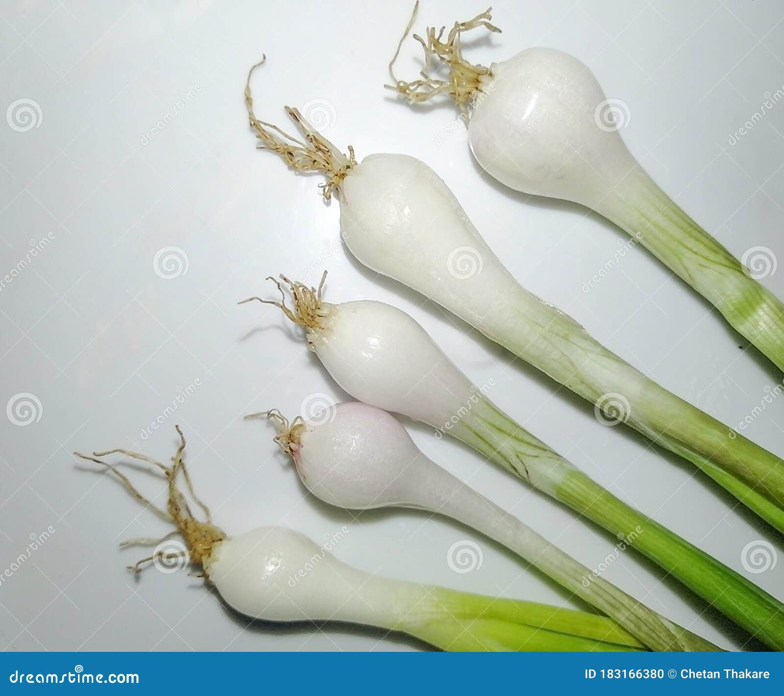 Fresh Green Scallion stock photo. Image of nutrition - 183166380