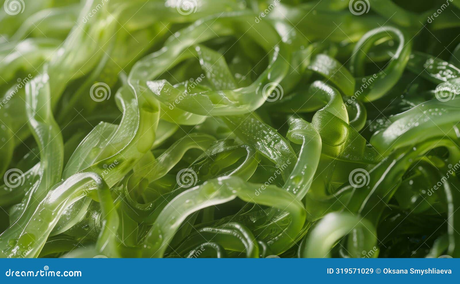 Fresh Green Seaweed Texture Close-up Stock Image - Image of vegan ...
