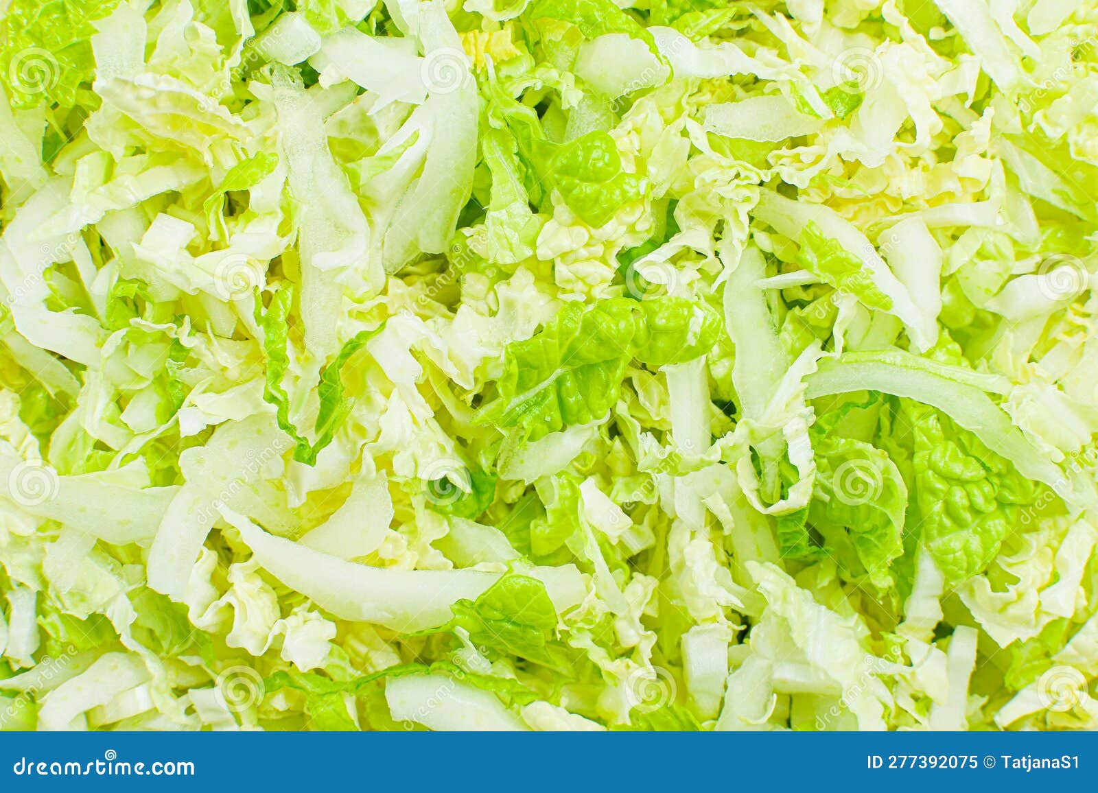 Fresh Green Shredded Cabbage Stock Image - Image of cabbage, macro ...