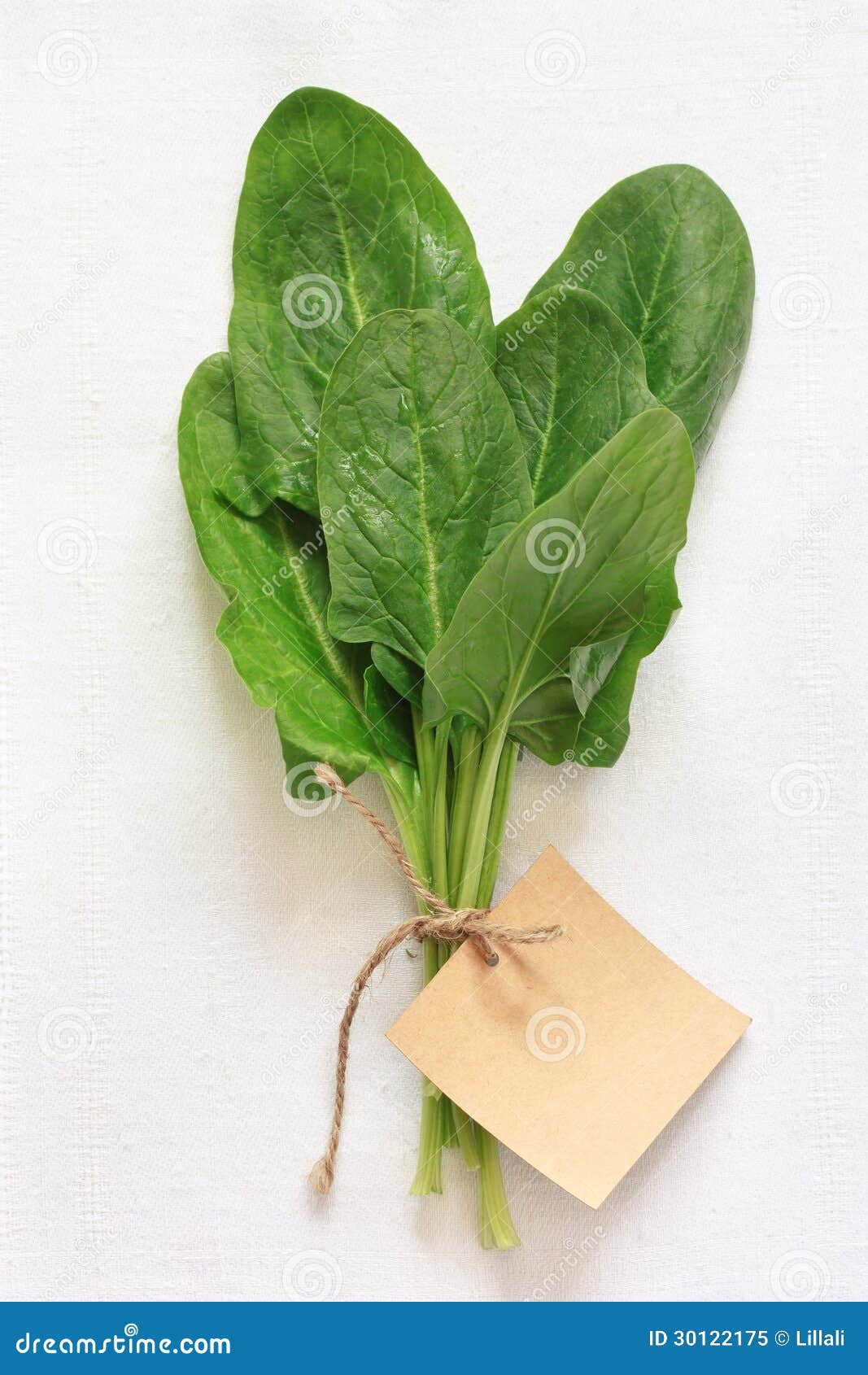Spinach. stock image. Image of leaf, bunch, linen, leaves - 30122175