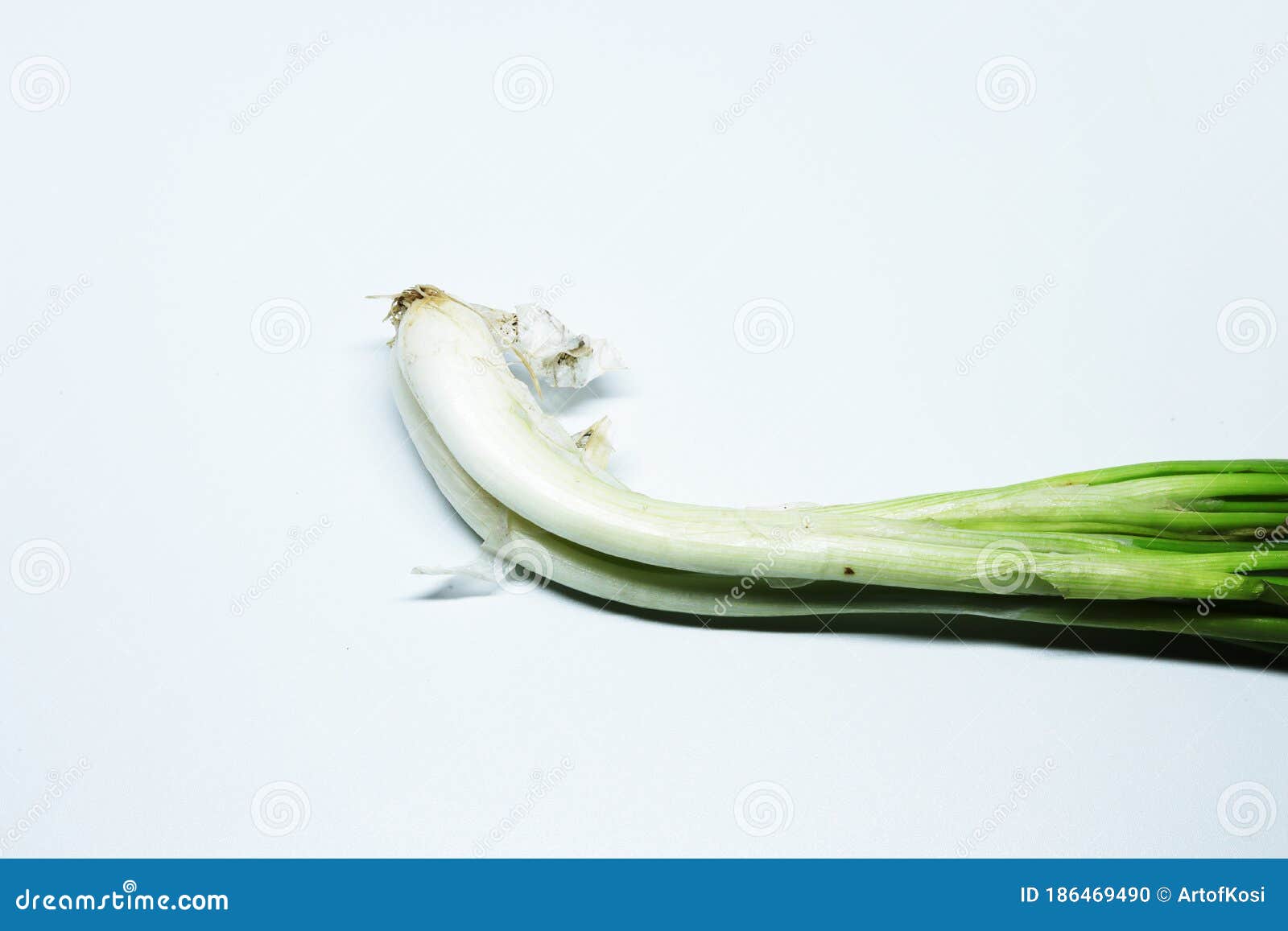 Fresh Green Spring Onion with Roots on an Isolated White Background ...
