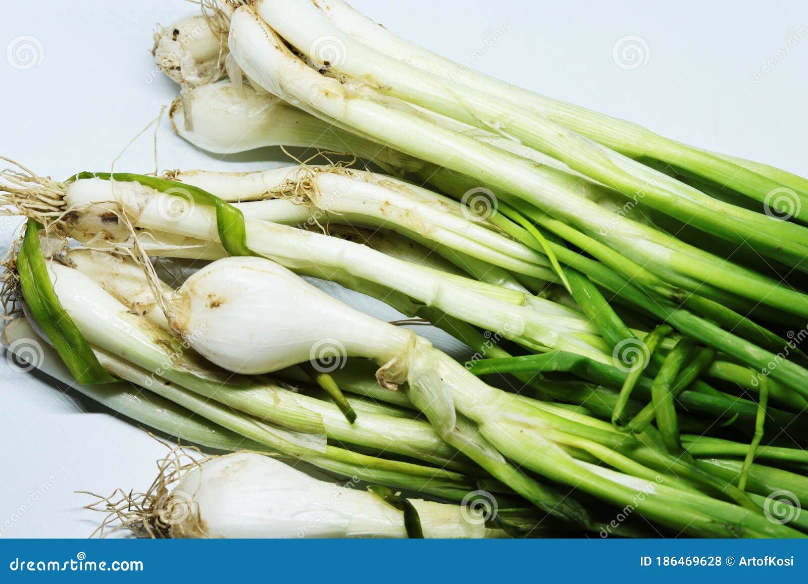 Fresh Green Spring Onion with Roots on an Isolated White Background ...