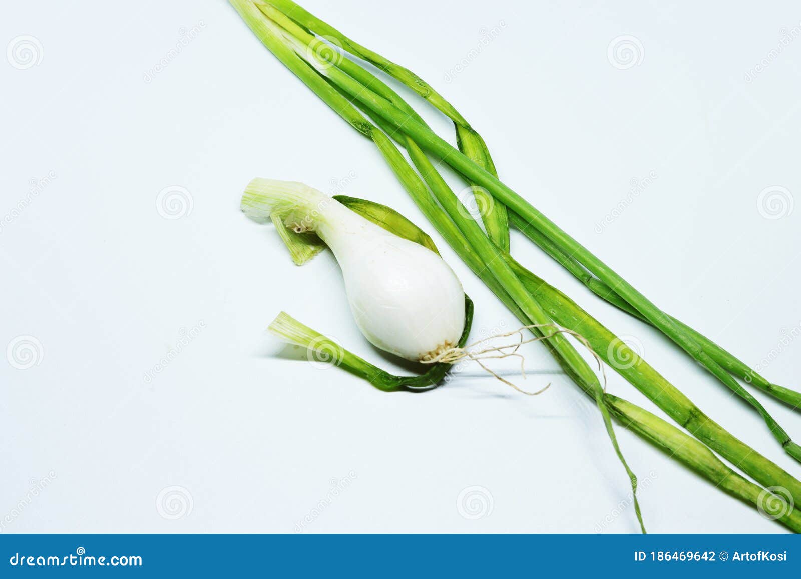 Fresh Green Spring Onion with Roots on an Isolated White Background ...