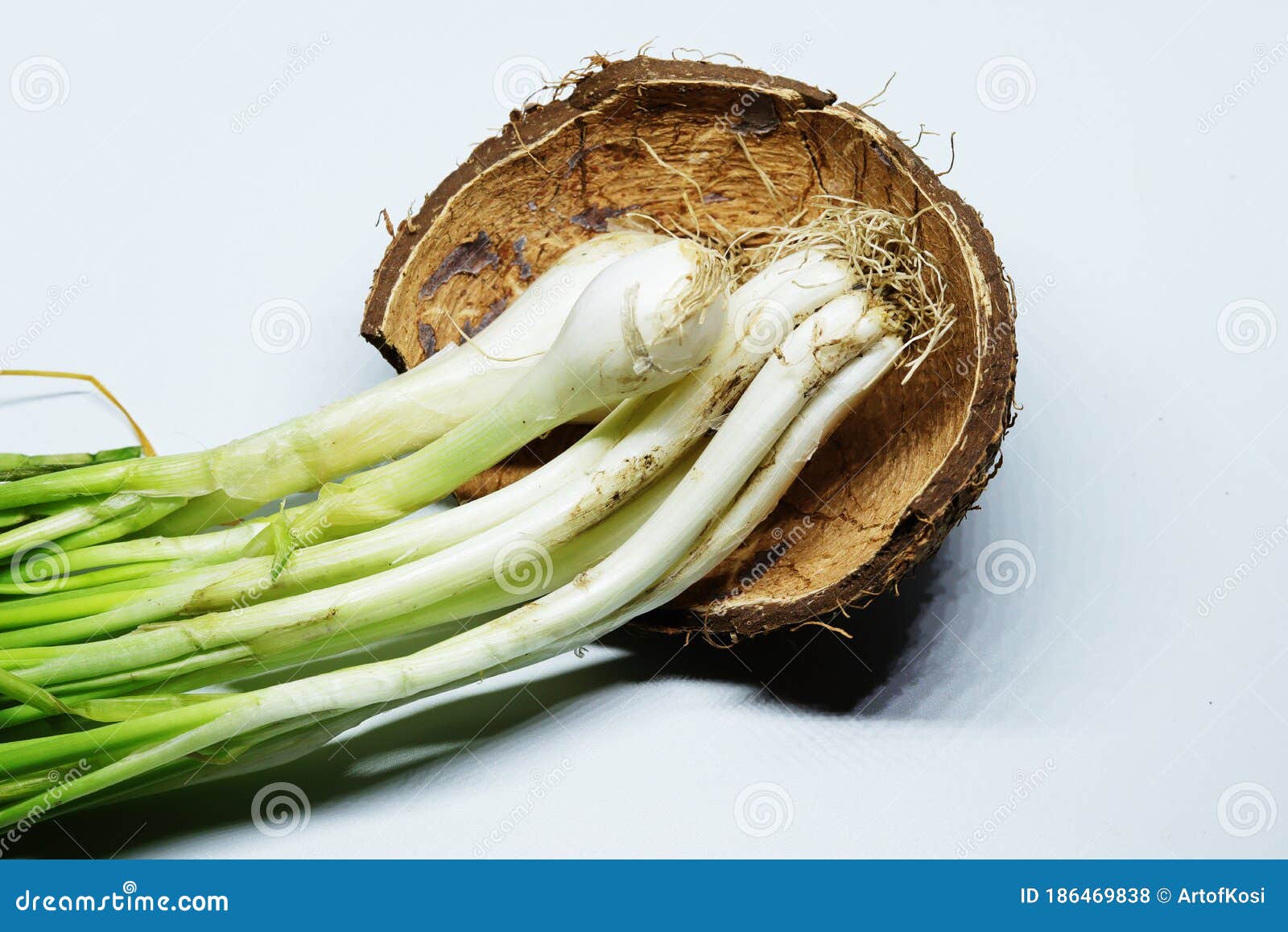 Fresh Green Spring Onion with Roots on an Isolated White Background ...