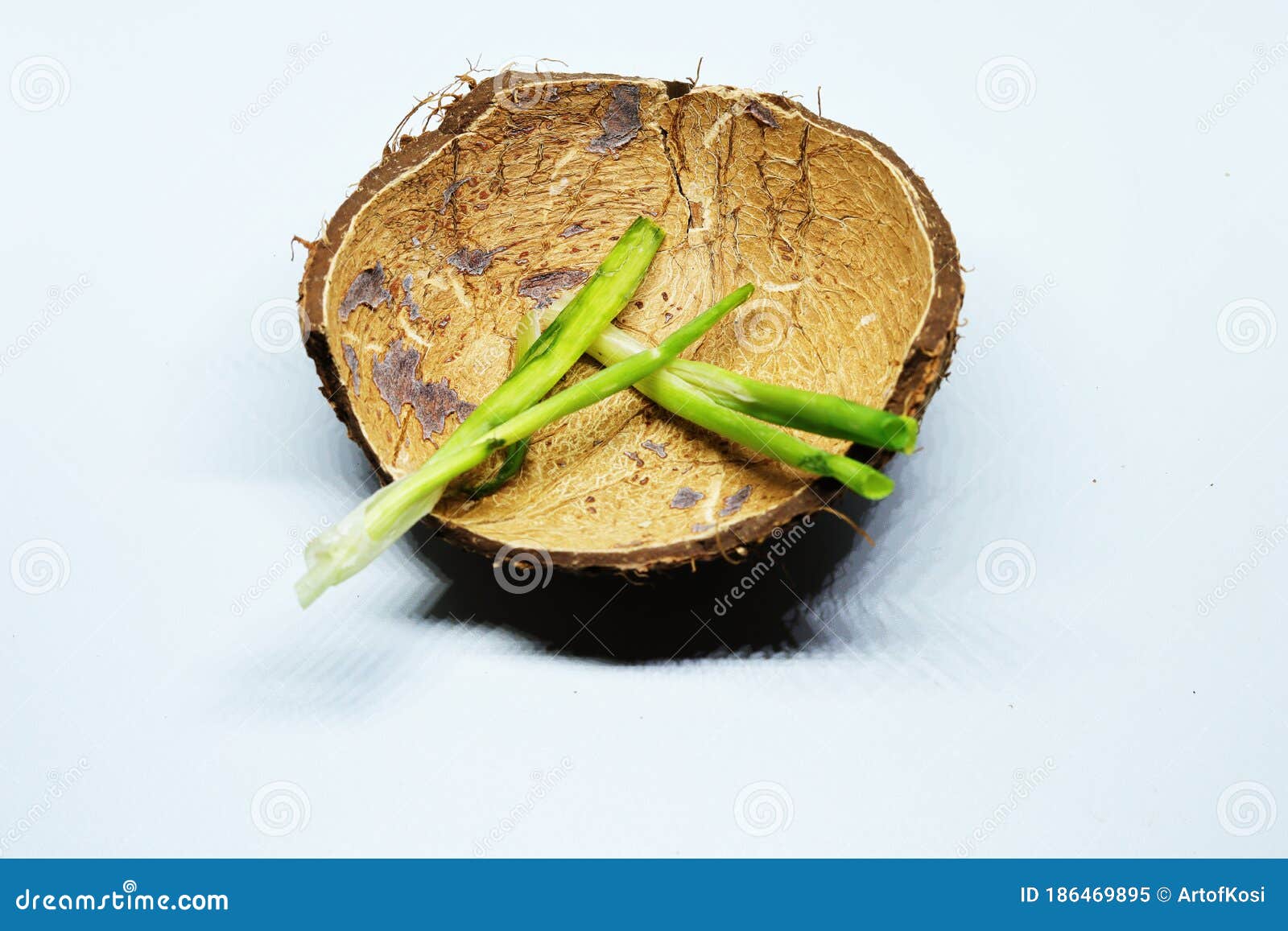Fresh Green Spring Onion with Roots on an Isolated White Background ...