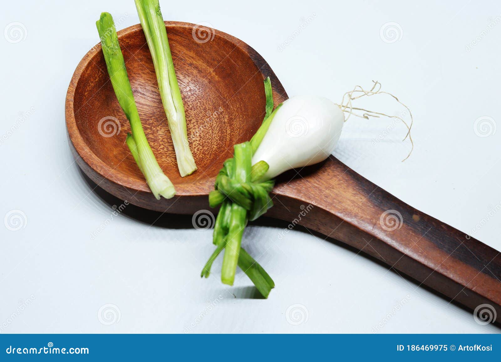 Fresh Green Spring Onion with Roots on an Isolated White Background ...