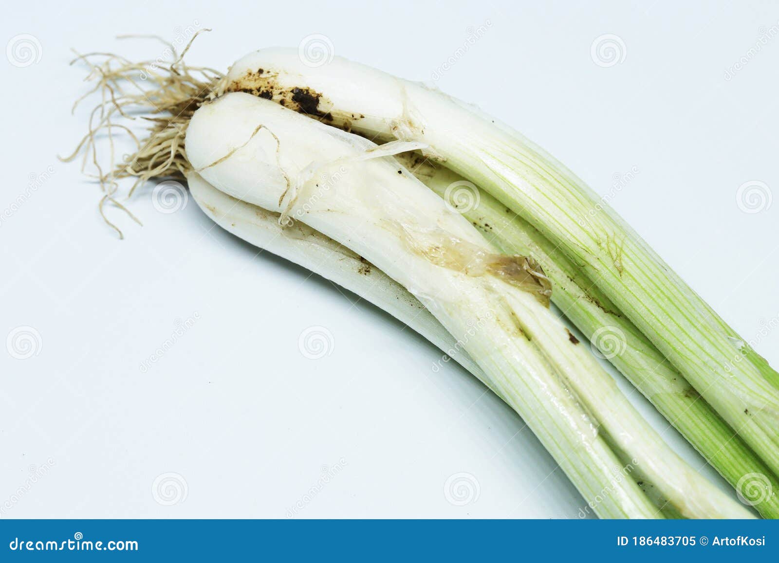 Fresh Green Spring Onion with Roots on an Isolated White Background ...