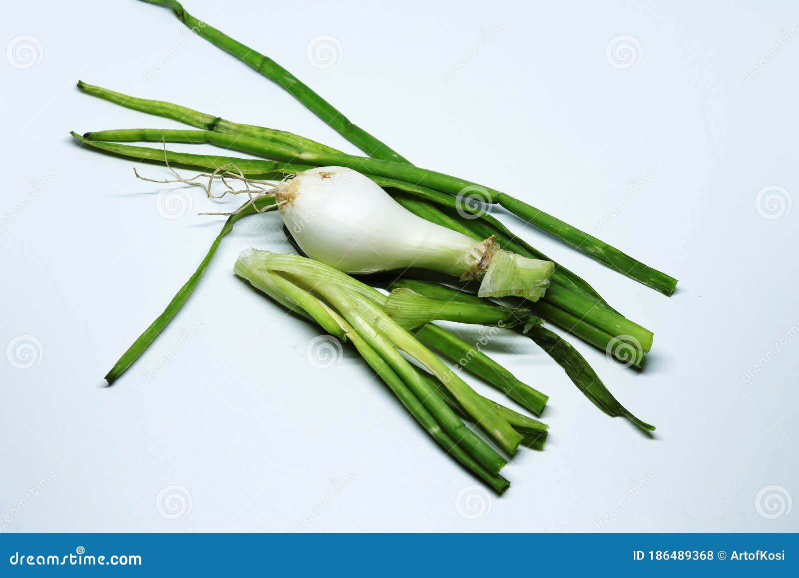 Fresh Green Spring Onion with Roots on an Isolated White Background ...