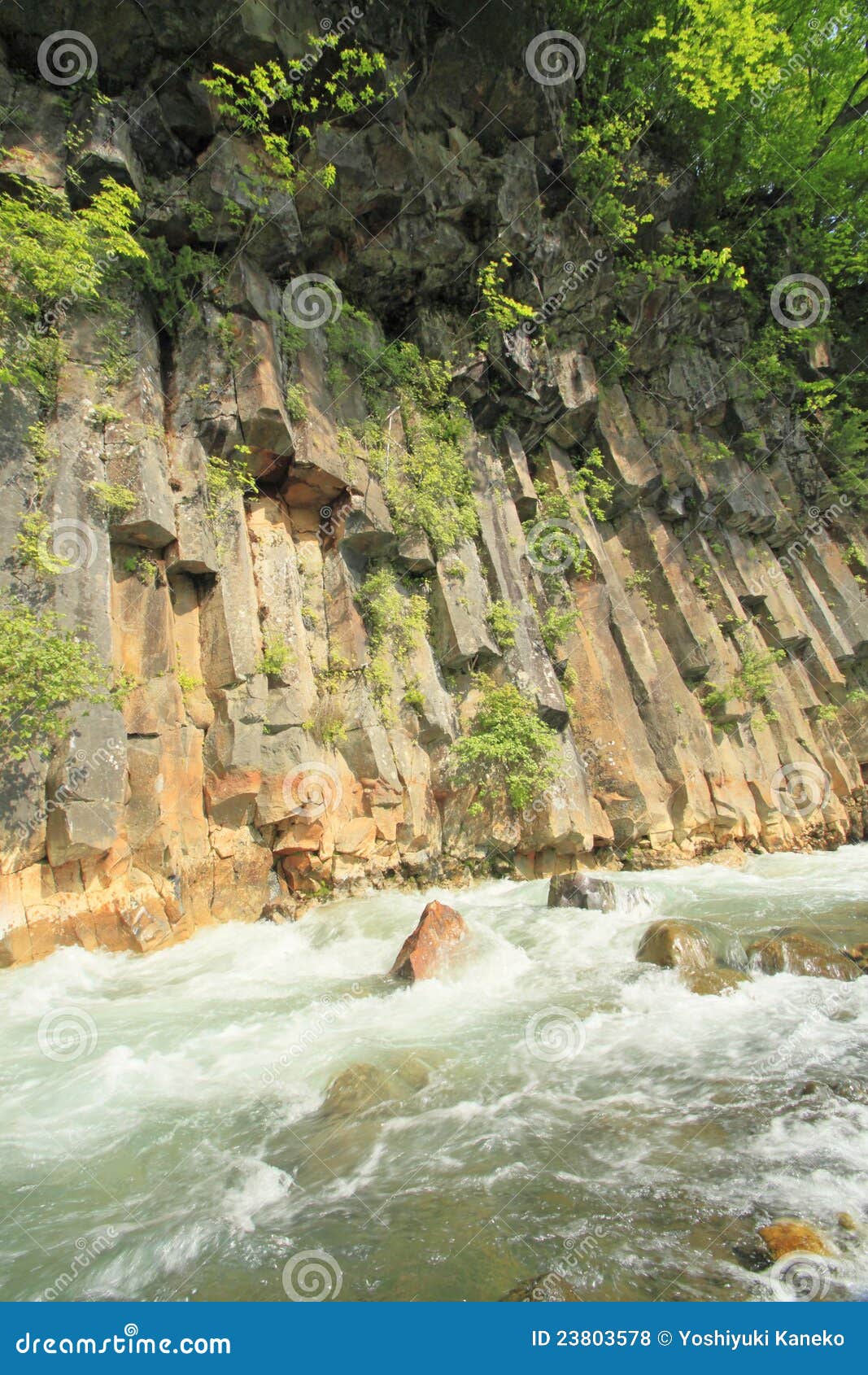 Fresh green and stream stock photo. Image of trees, outdoor - 23803578