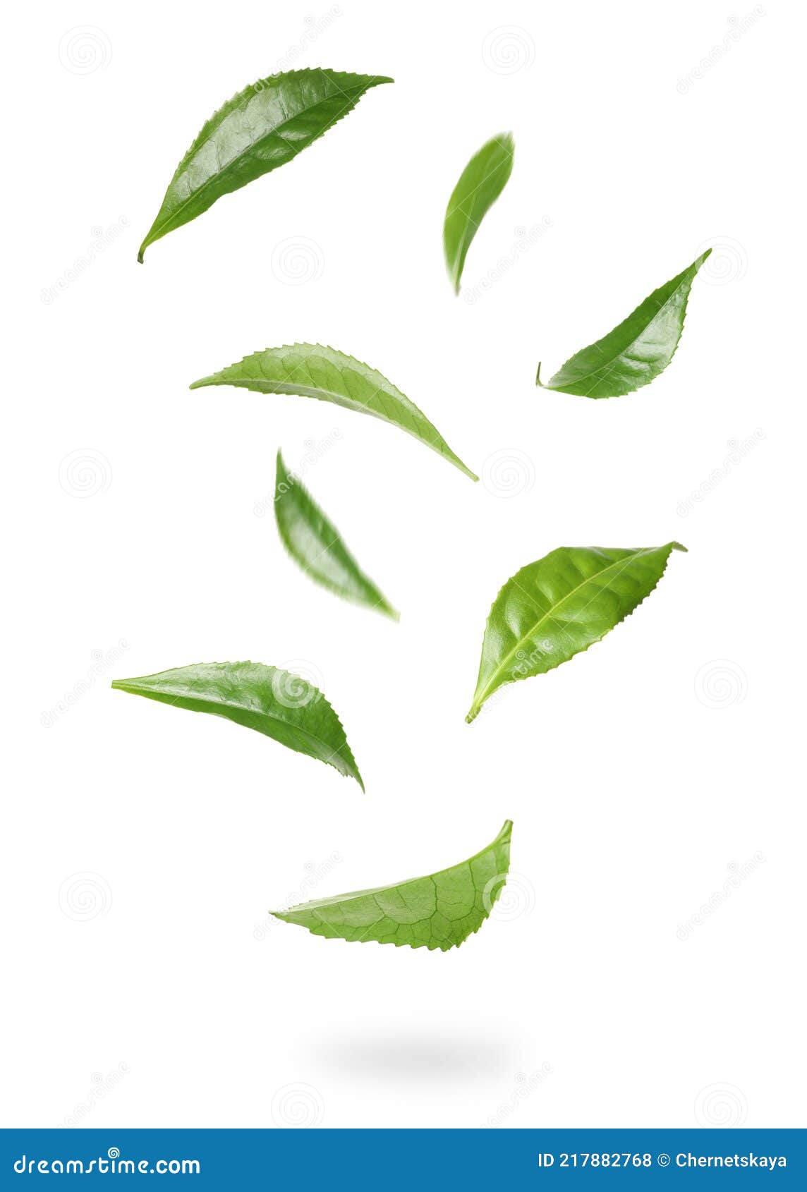 Fresh Green Tea Leaves Falling on White Background Stock Photo - Image ...