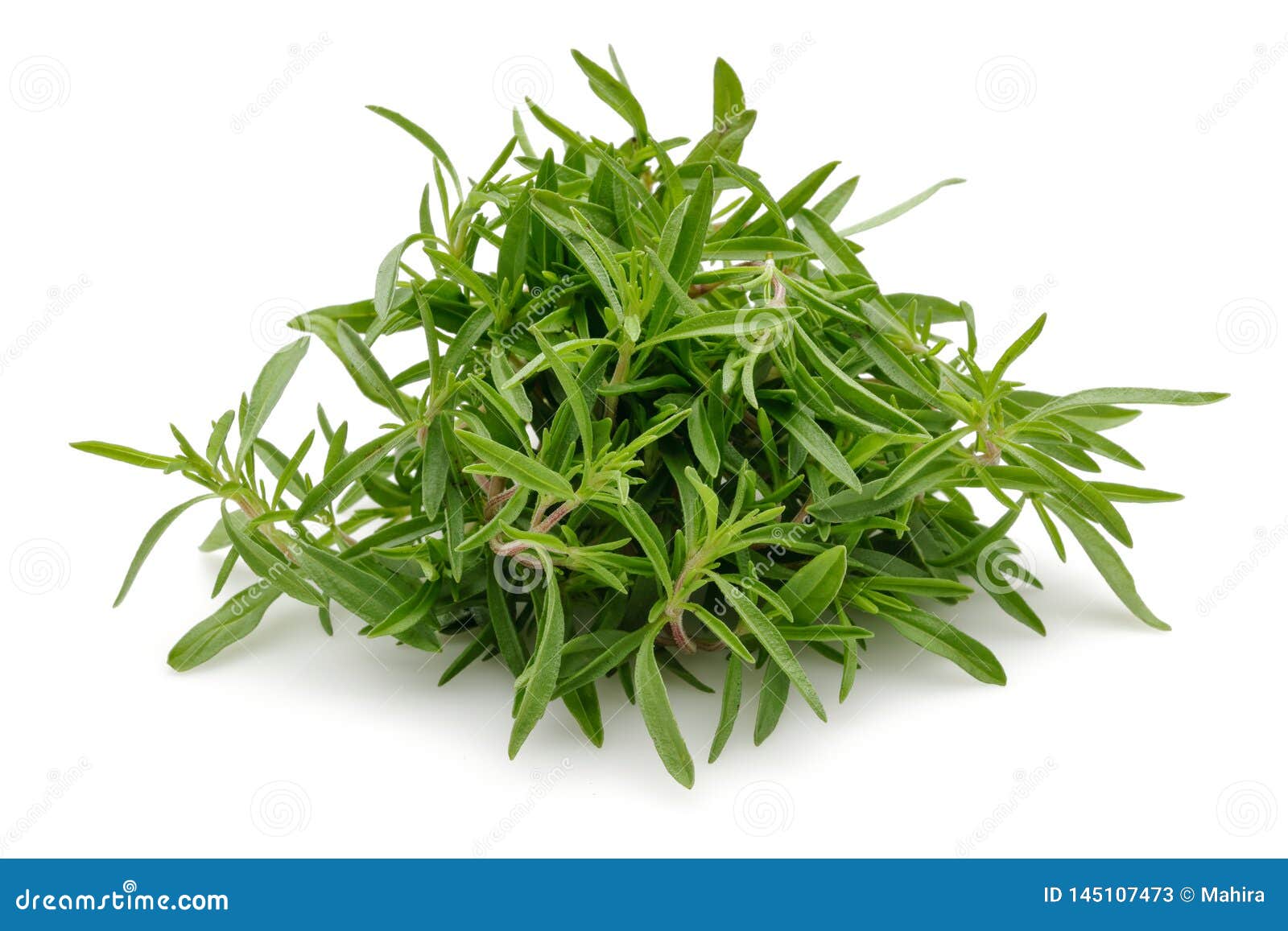 Fresh Green Thyme Isolated on White Stock Image - Image of culinary ...