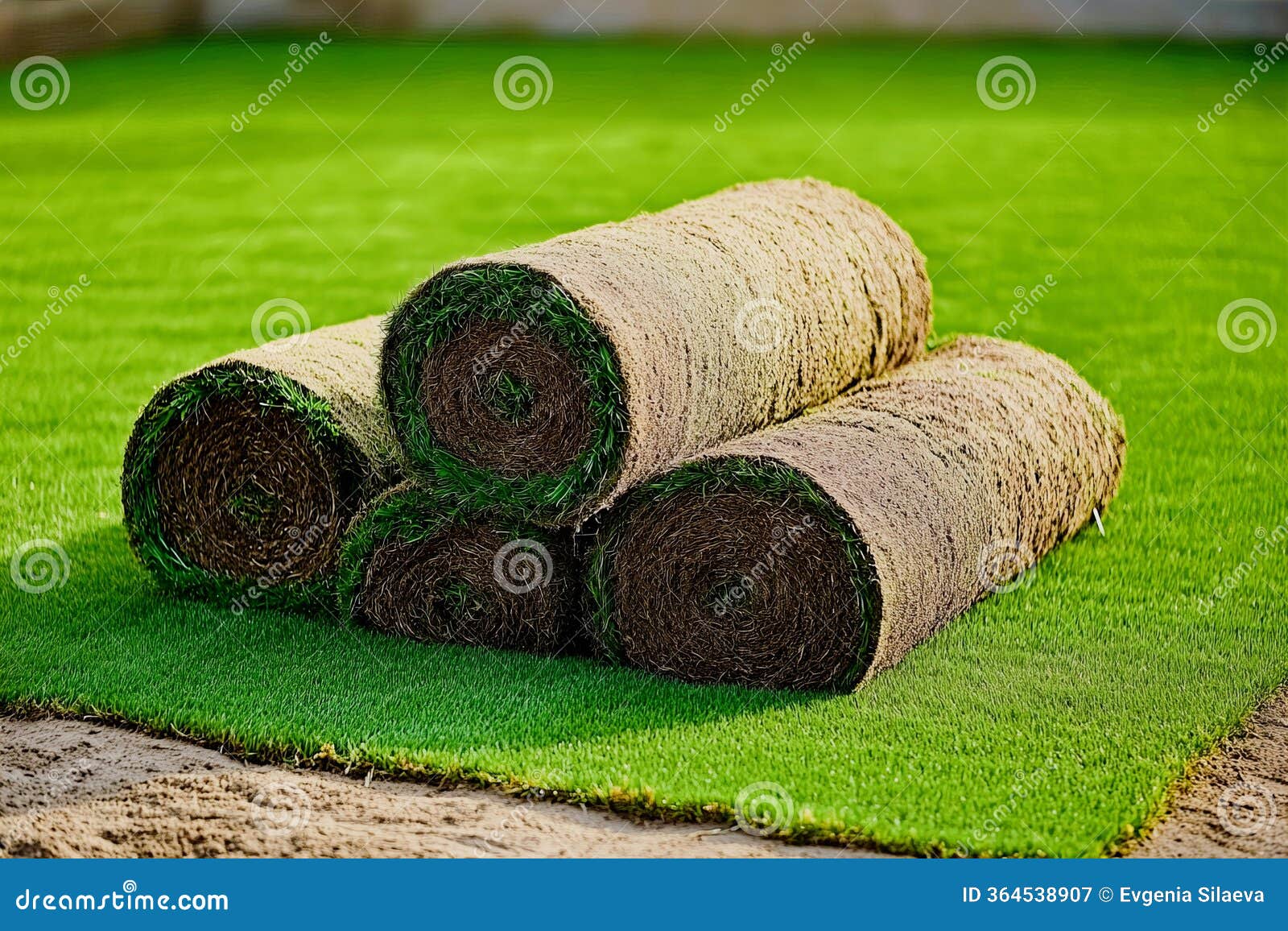 Green Turf Grass Texture And Background Royalty-Free Stock Photo ...
