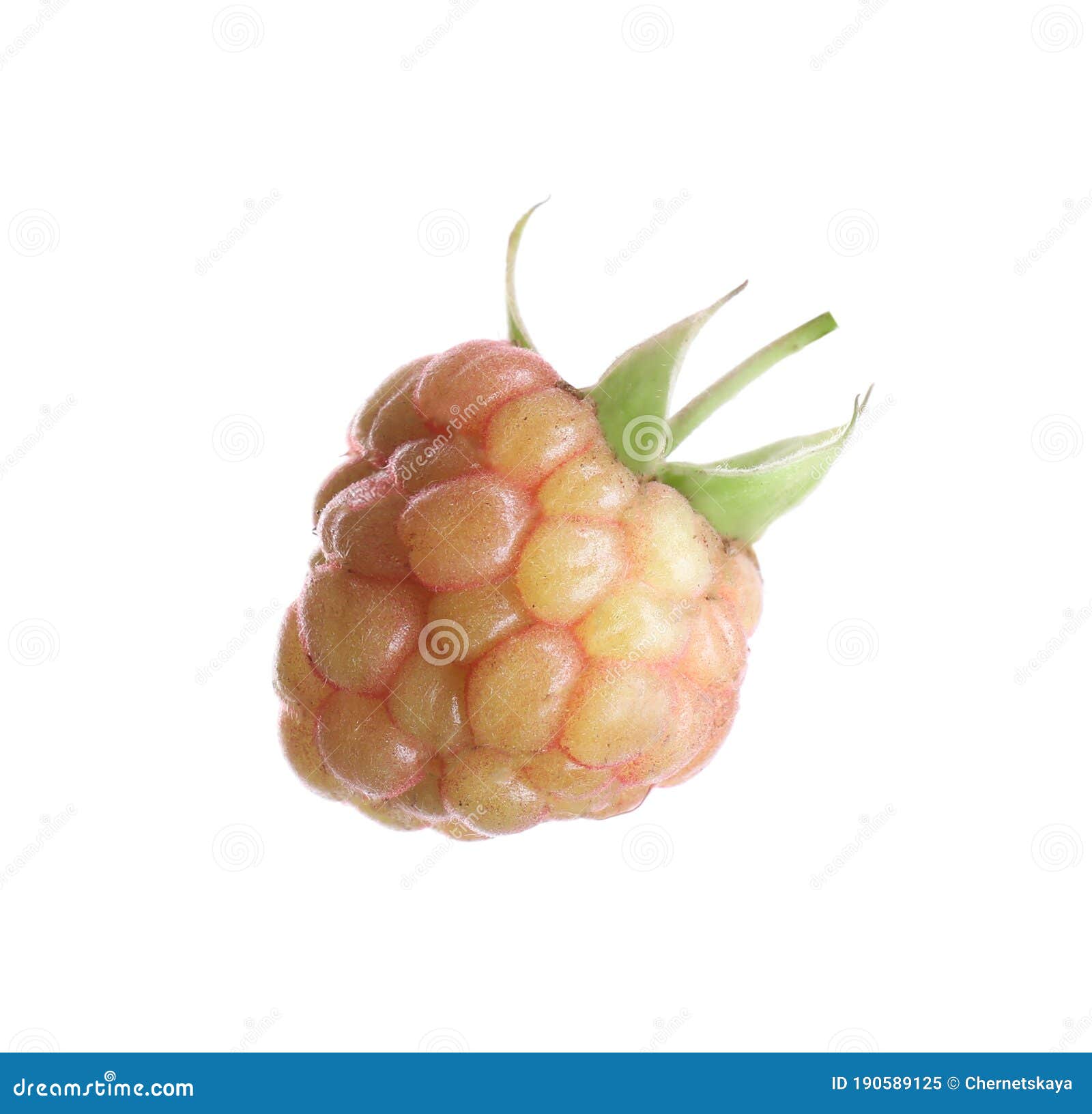 Fresh Green Unripe Raspberry Isolated Stock Image - Image of nutrition ...