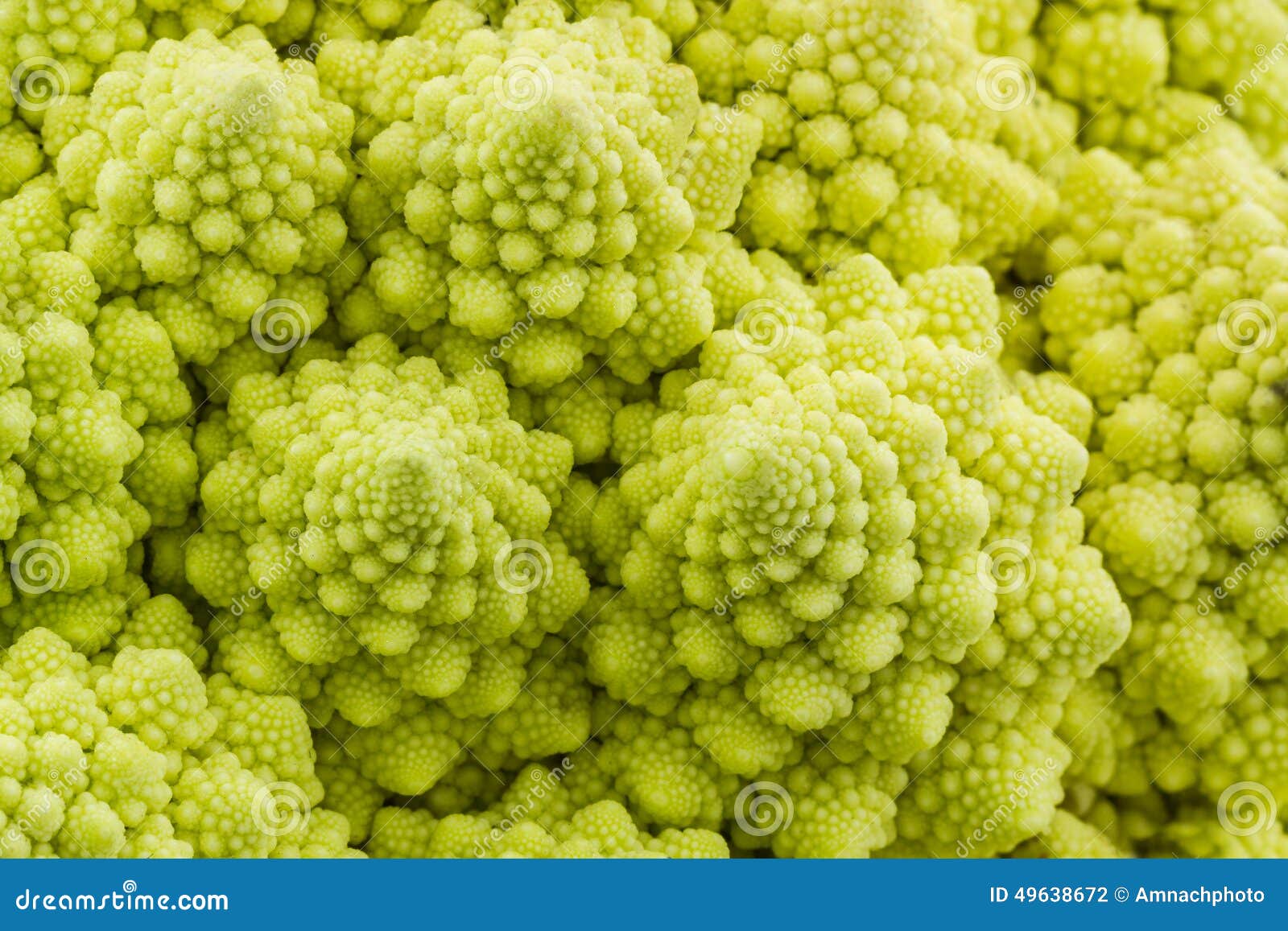 Fresh of Green Vegetable,Romanesco Broccoli, Roman Cauliflower. Stock ...