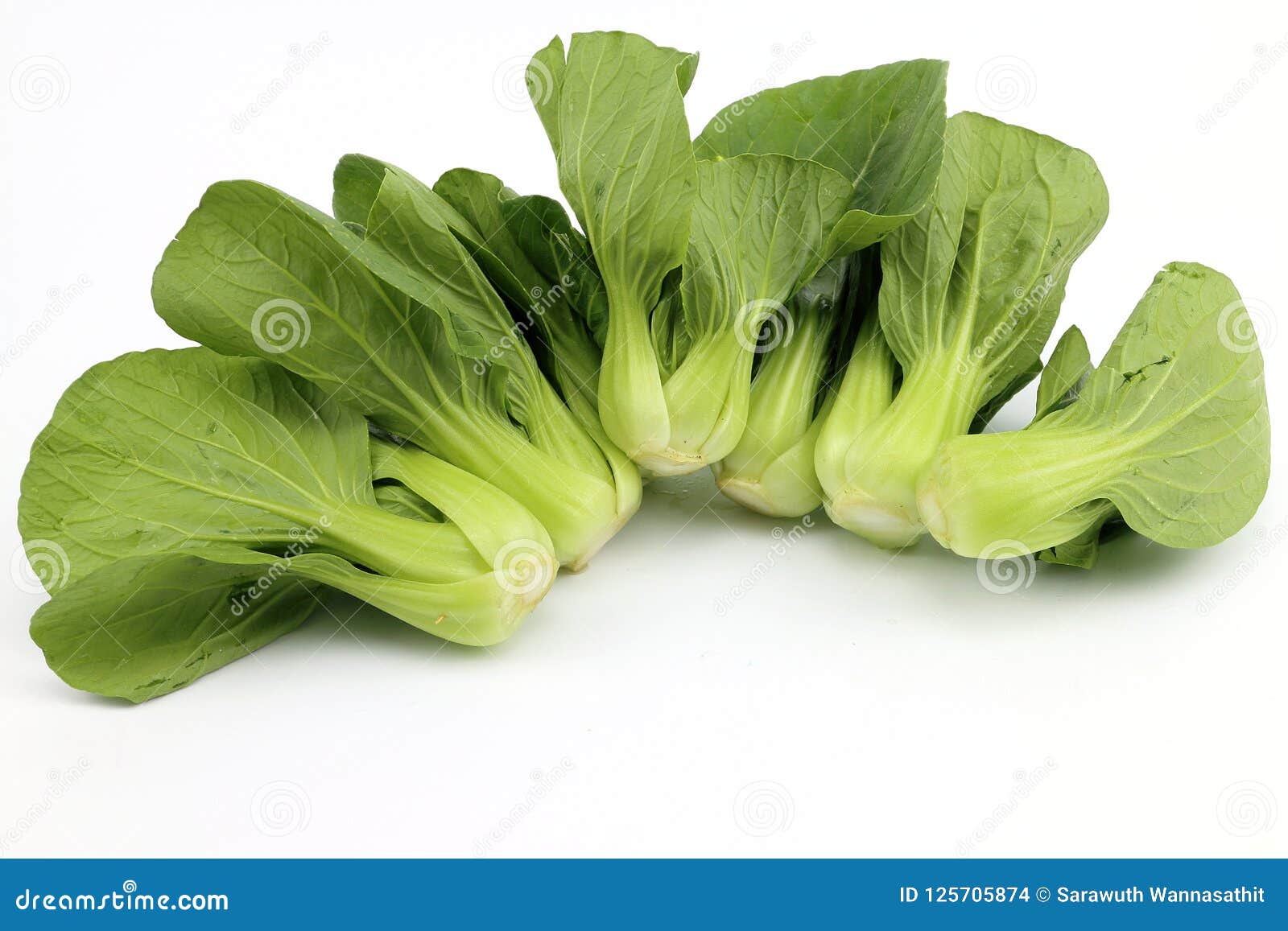 Green Vegetable on White Background Stock Photo - Image of cabbage ...