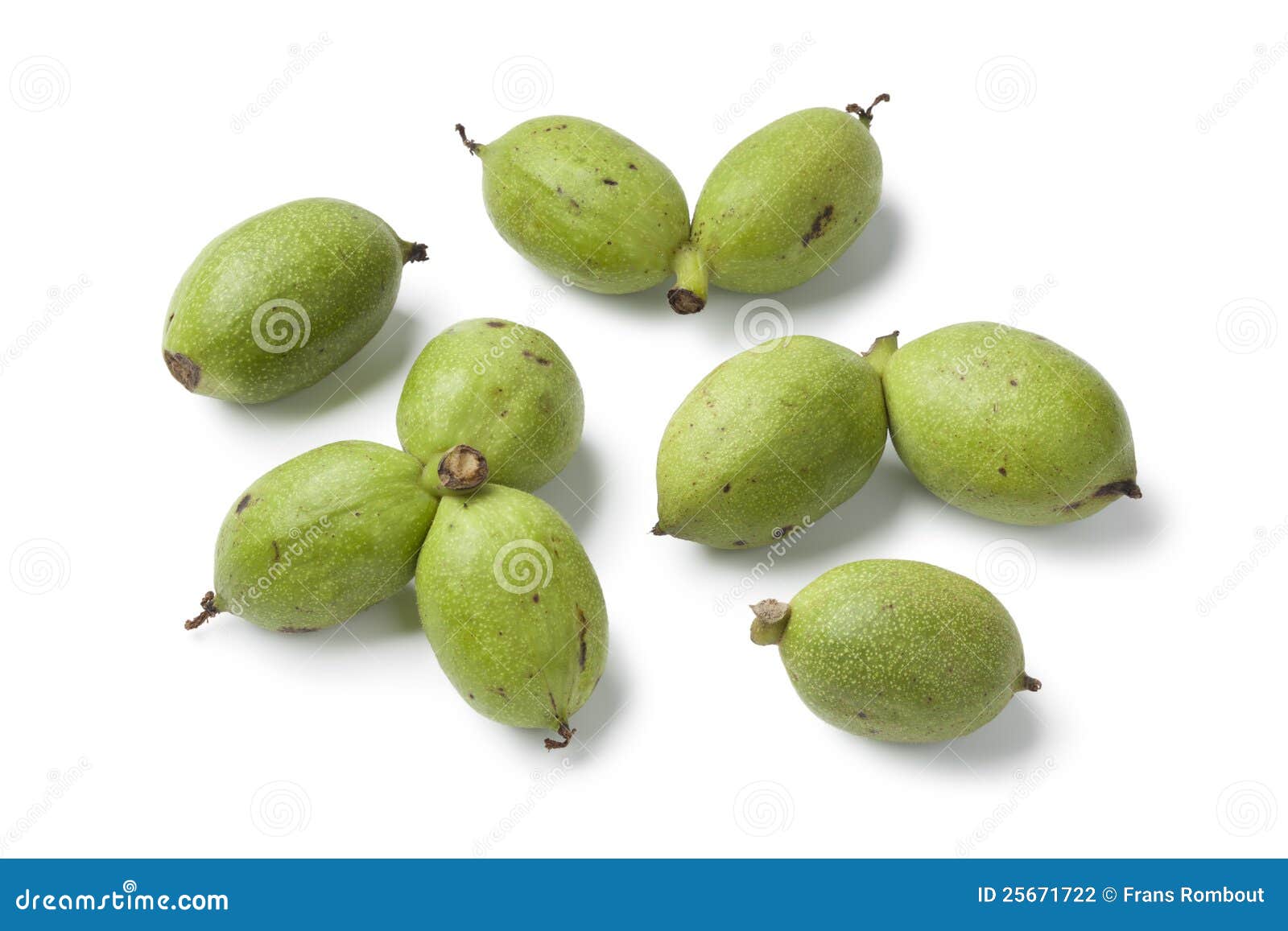 Fresh green walnuts stock photo. Image of italy, nocino - 25671722