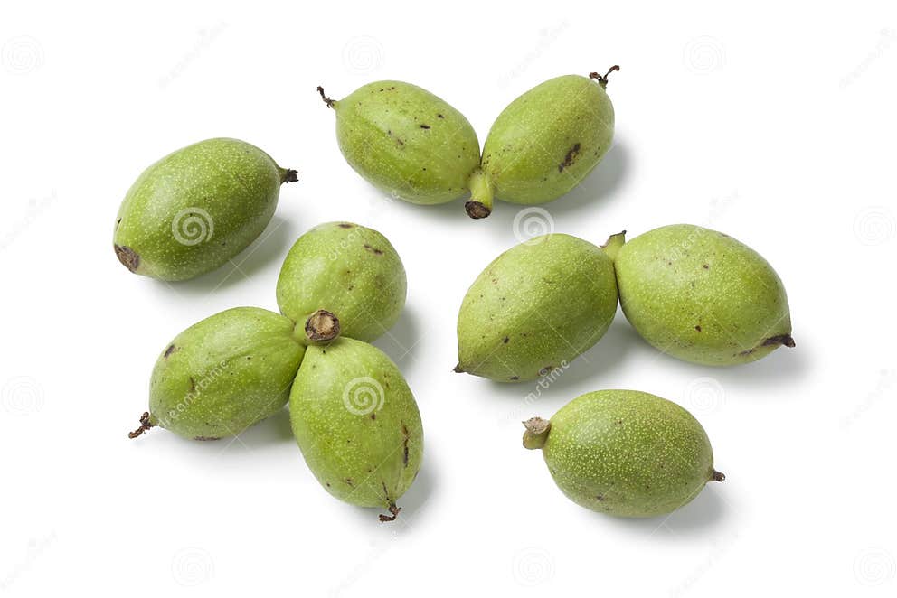 Fresh green walnuts stock photo. Image of italy, nocino - 25671722
