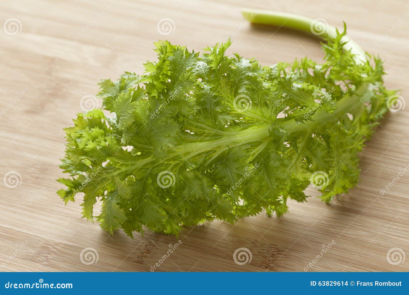 Fresh Green Young Wasabina Leaf Stock Photo - Image of rapa, mustard ...