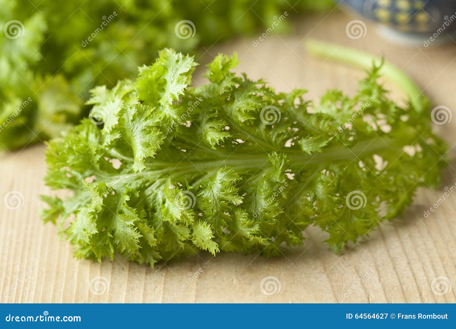 Wasabina Leaf Stock Photos - Free & Royalty-Free Stock Photos from ...