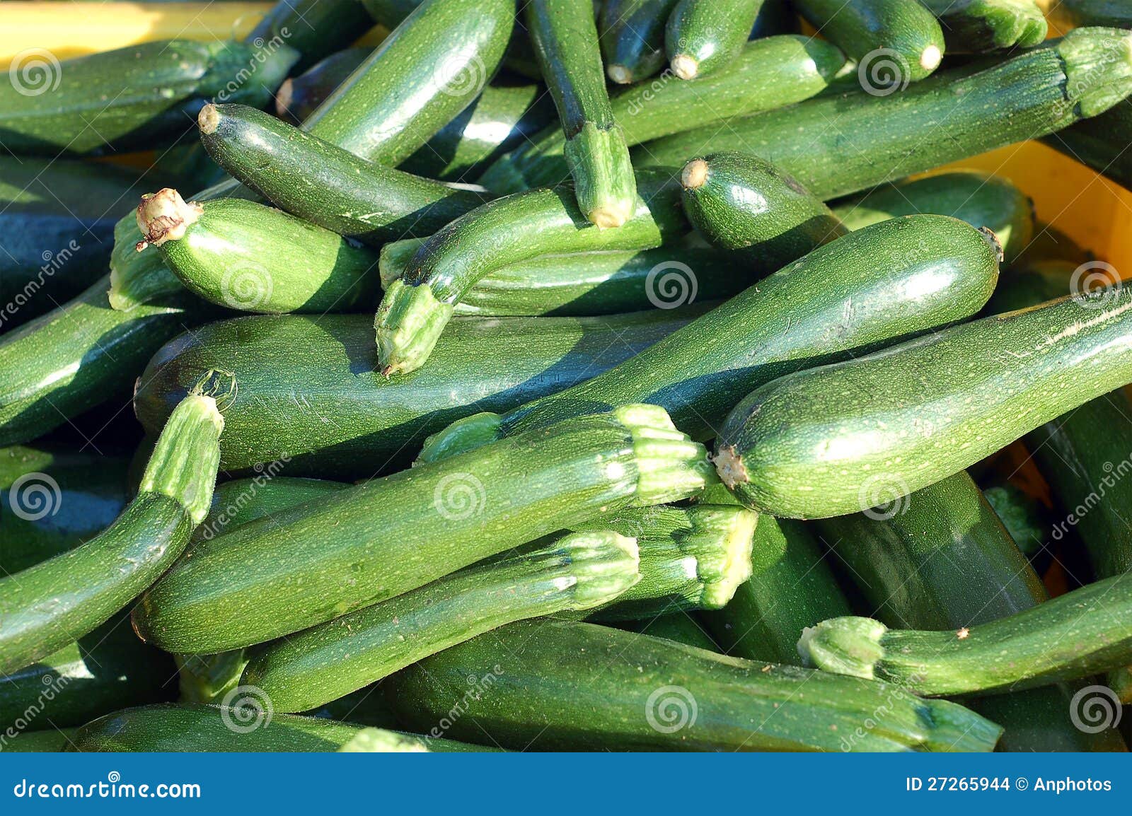 Fresh Green Zucchini Squash Stock Photo - Image of good, market: 27265944