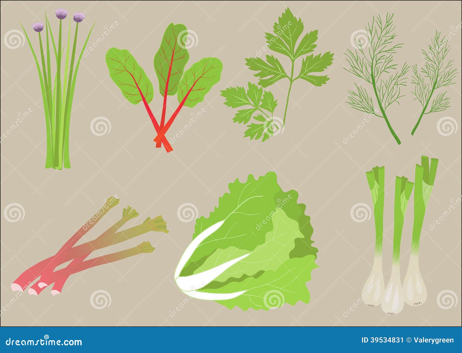 Fresh Greens stock vector. Illustration of vegetable - 39534831
