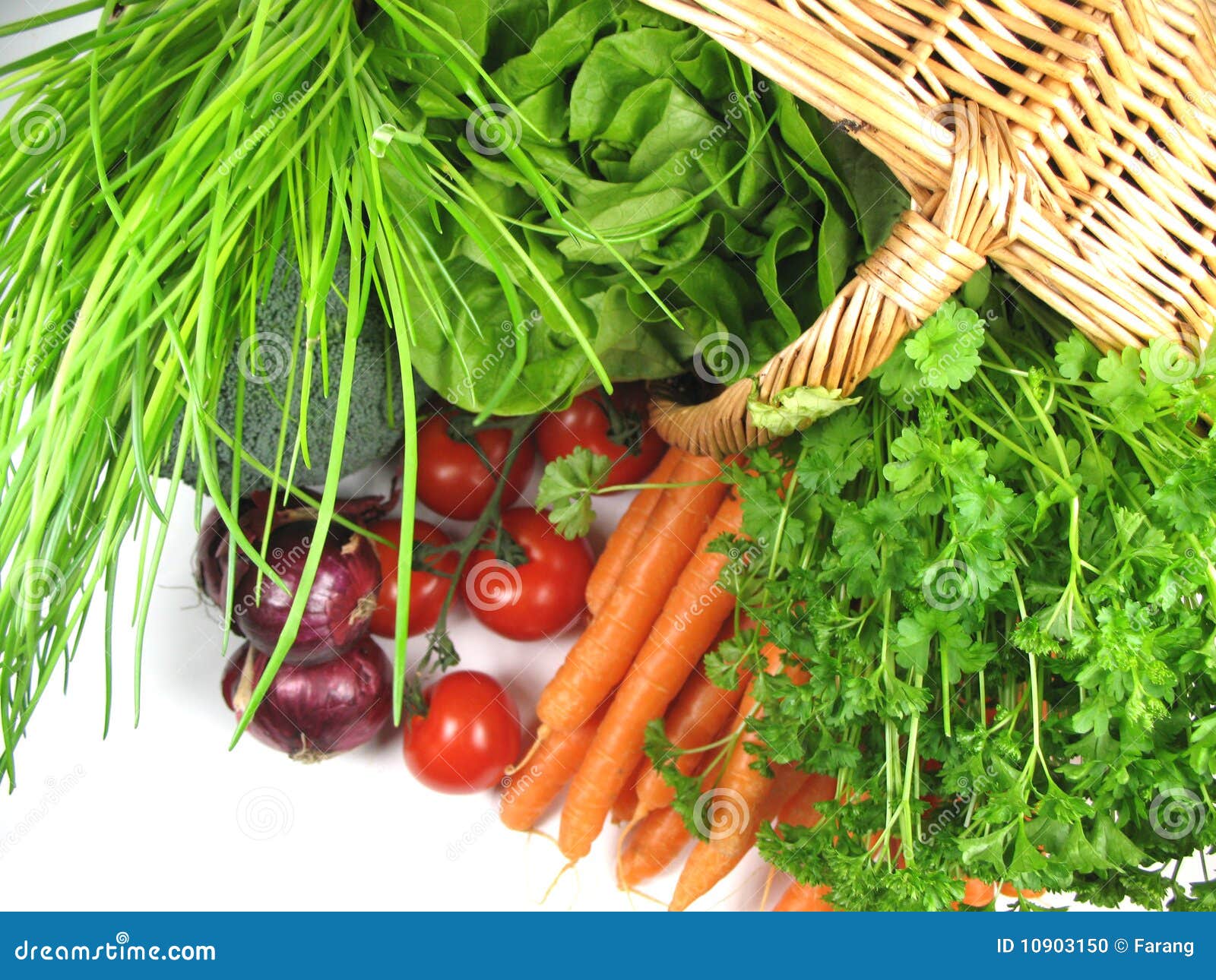 Fresh groceries stock photo. Image of groceries, orange - 10903150