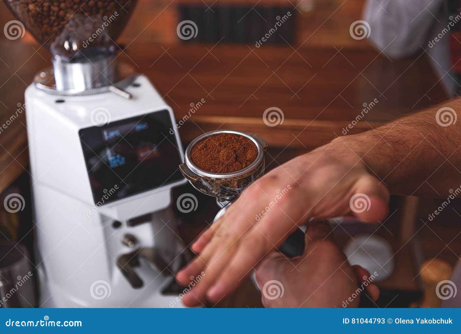 Fresh ground beans of java stock image. Image of fresh - 81044793