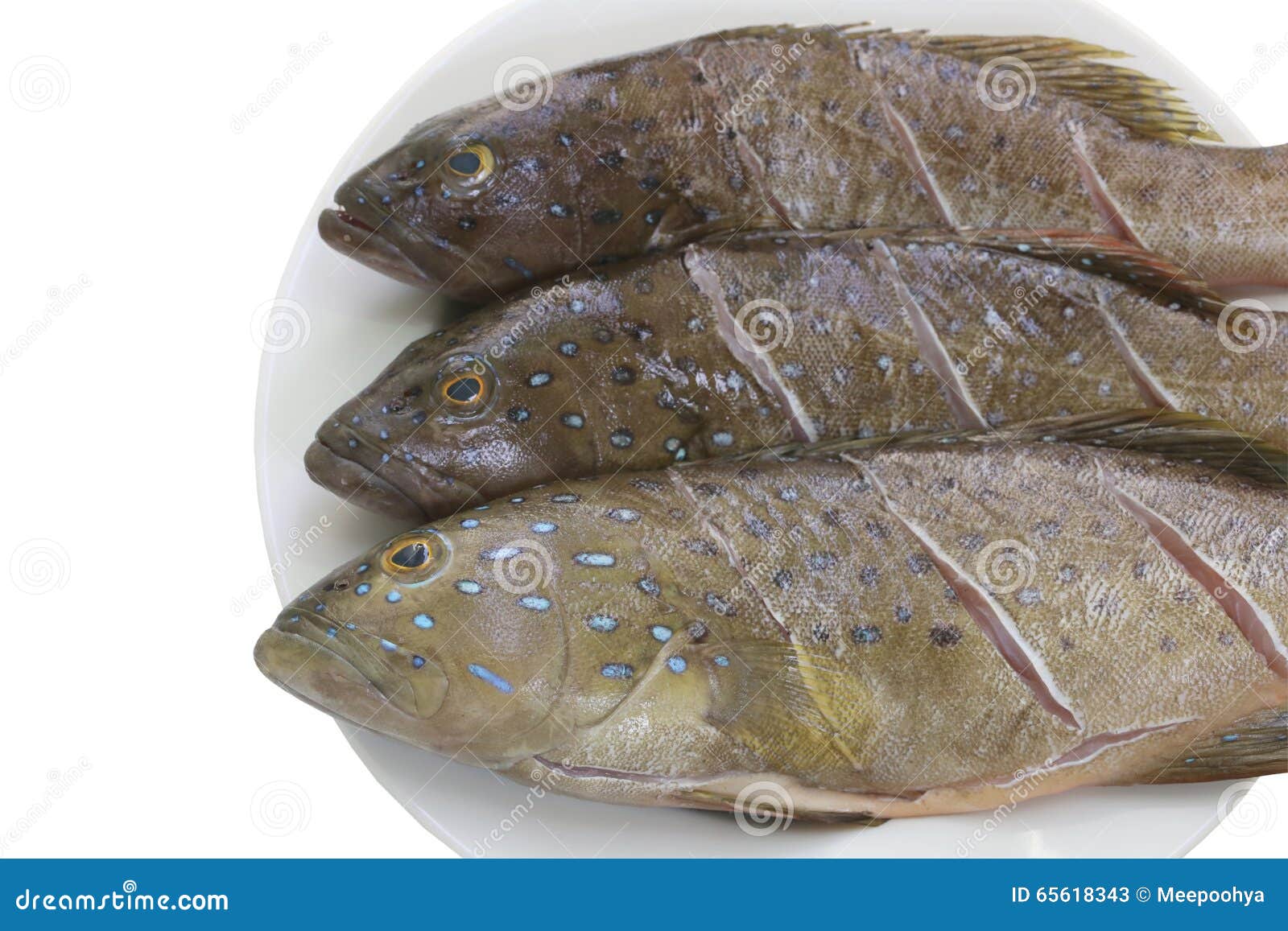 Fresh Grouper Fish (Leopard Grouper) on Dish for the Ingredient Stock ...