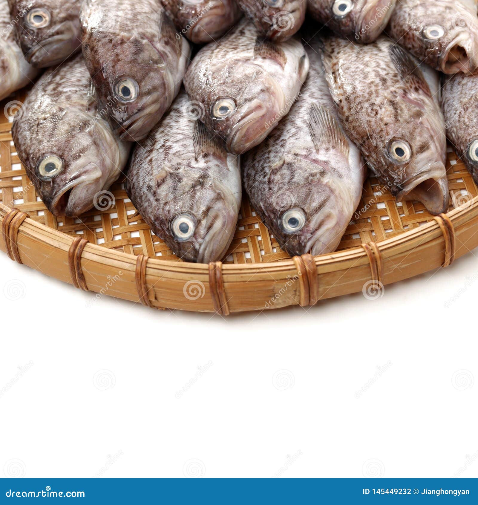 Fresh Grouper stock photo. Image of eating, gourmet - 145449232