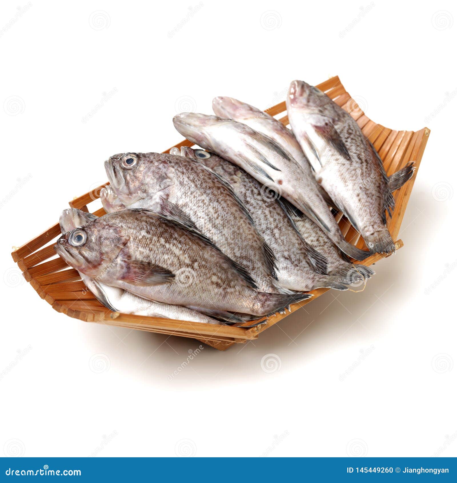 Fresh Grouper stock photo. Image of diet, market, healthy - 145449260
