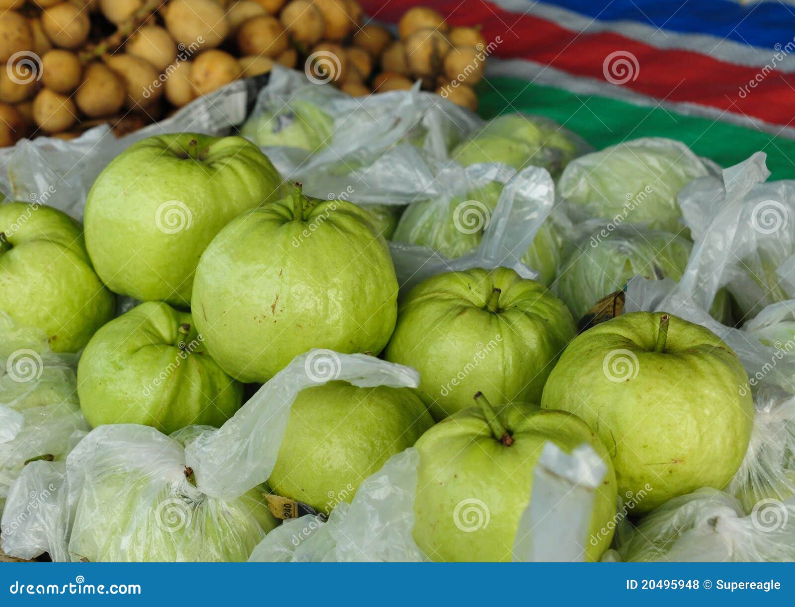 Fresh guava fruit stock photo. Image of diet, healthy - 20495948