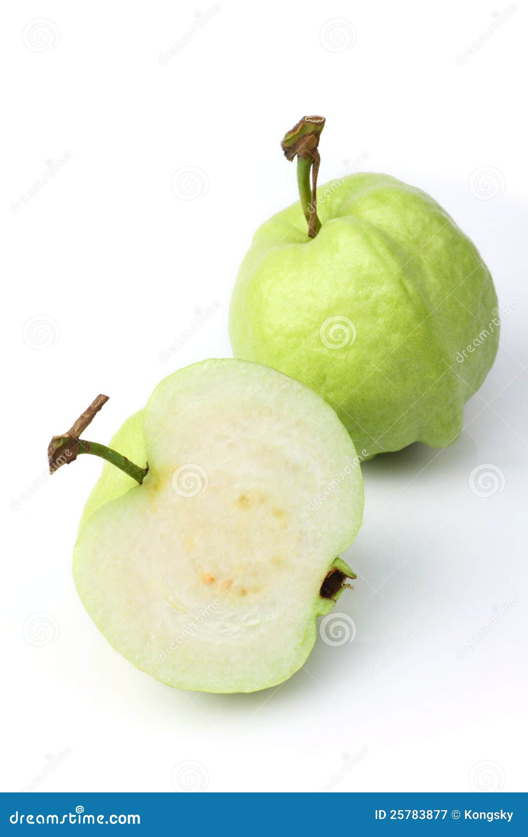 Fresh of Guava fruit stock image. Image of green, farmer - 25783877