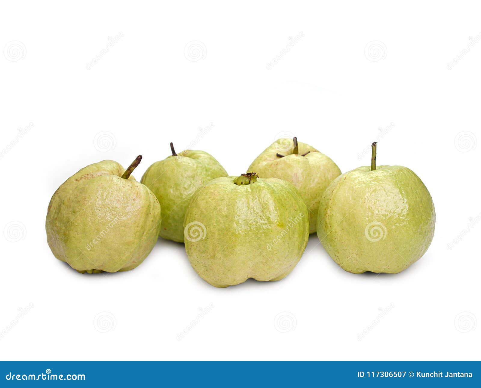 Fresh guava fruit. stock image. Image of leave, pulp - 117306507