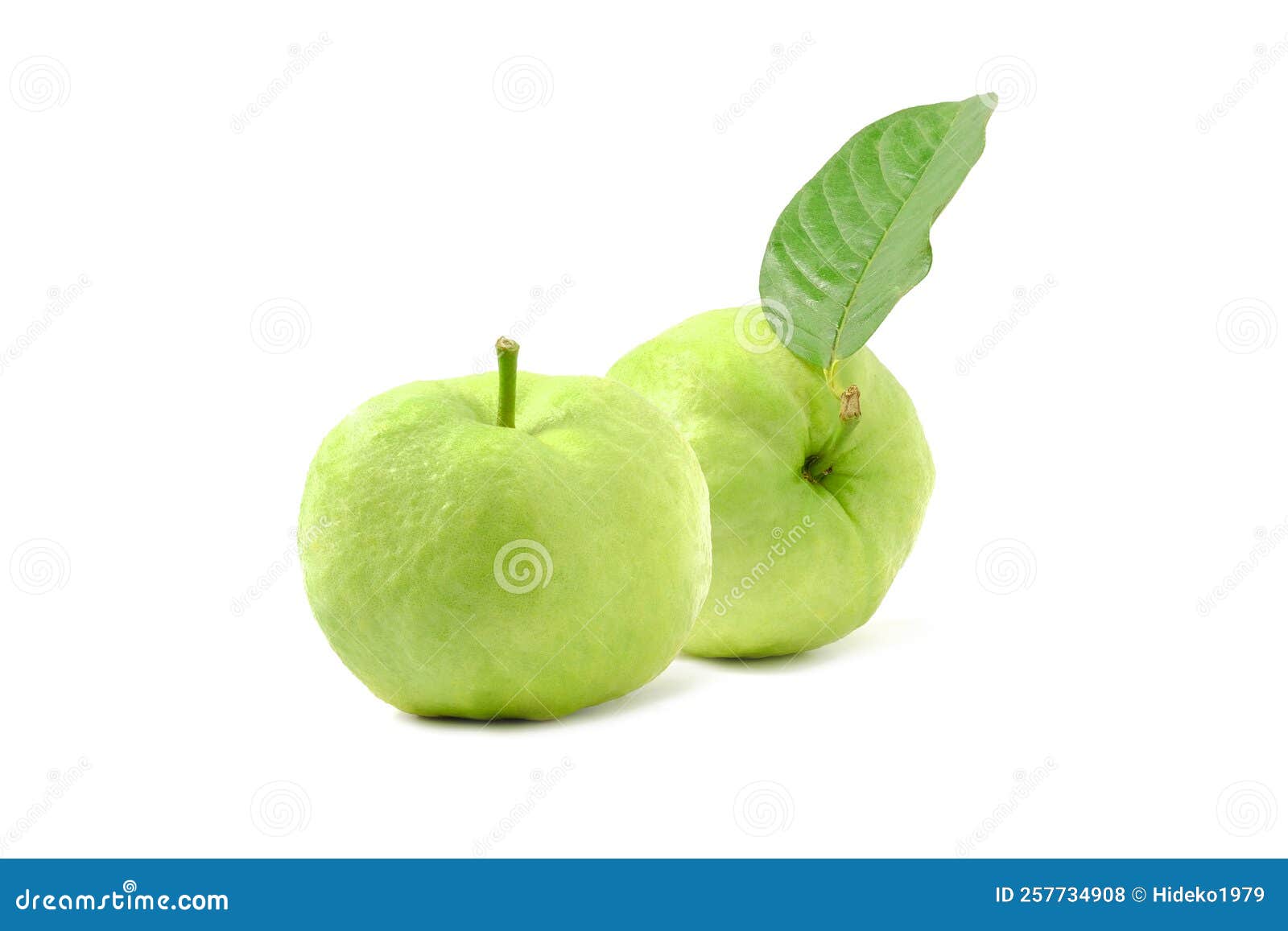 Fresh Guava with Leaves on White Background Stock Photo - Image of ...