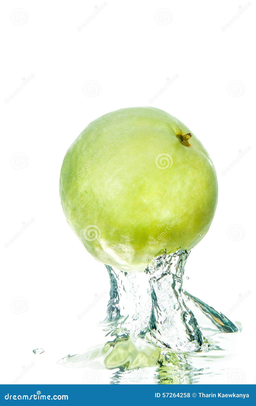Fresh guava stock photo. Image of splash, healthy, isolated - 57264258